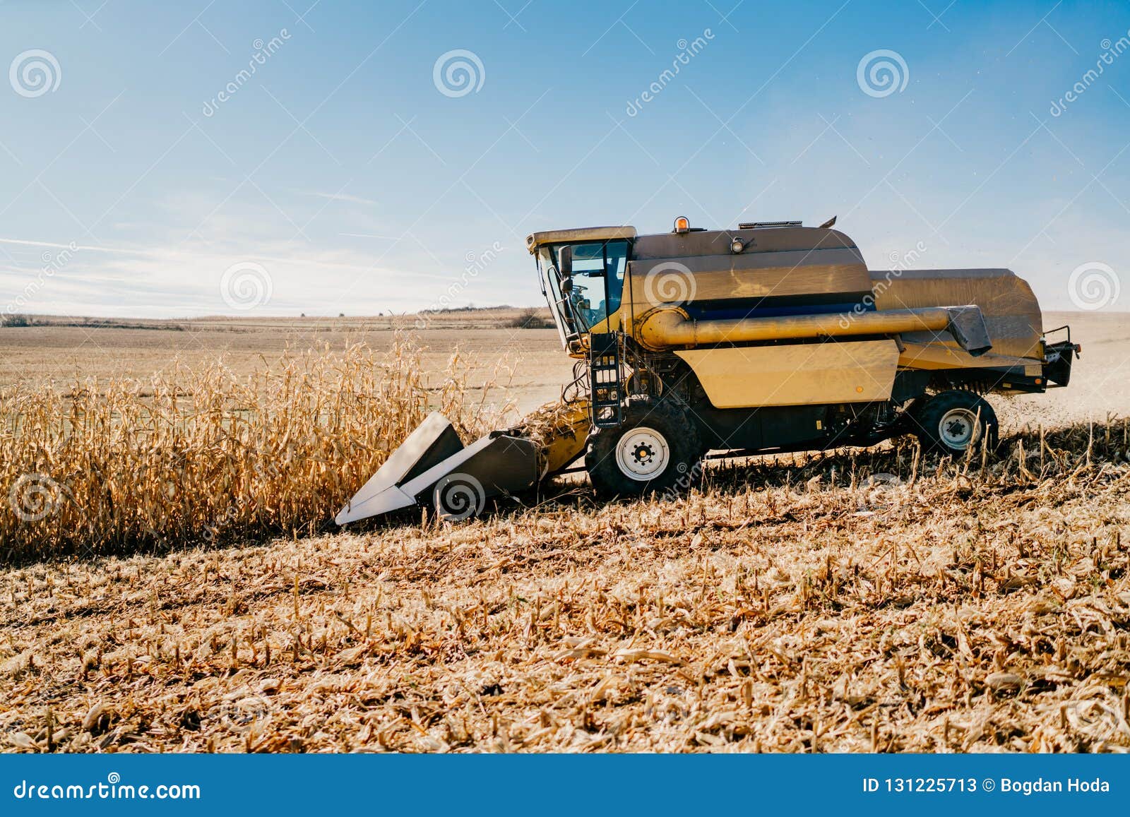Harvester Farmer Using Tractor With Rotary Rakes For Collecting Hay ...