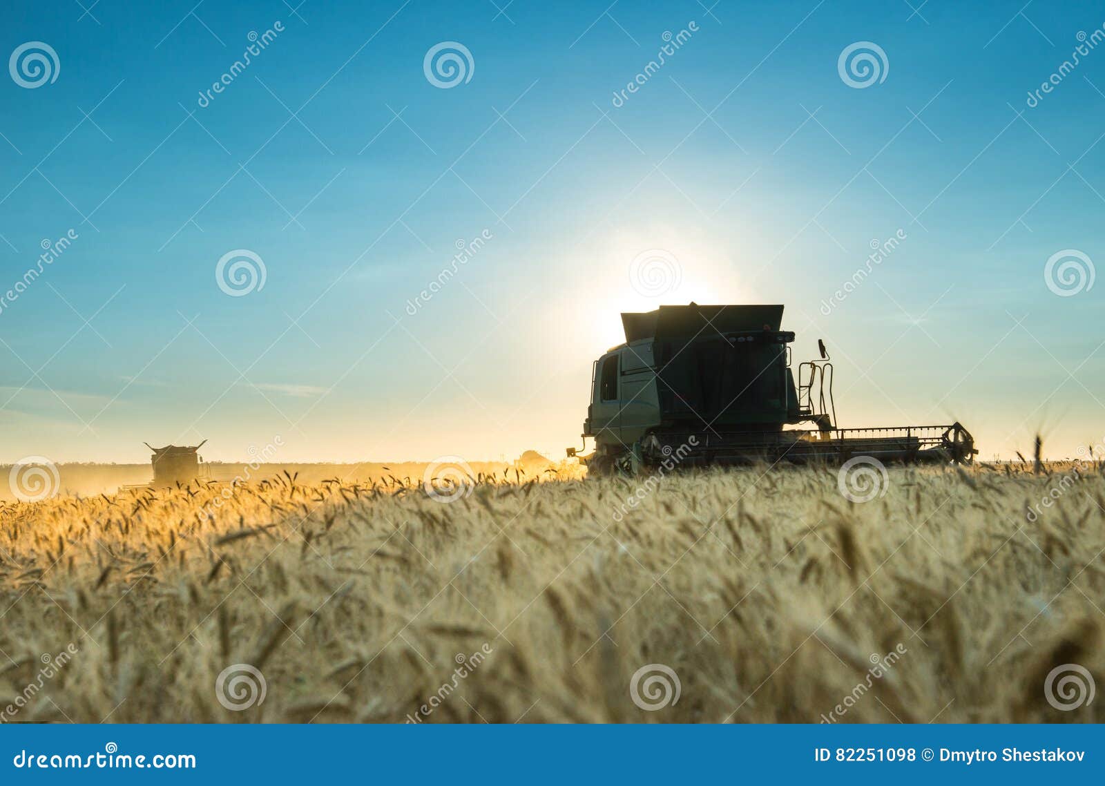 Combine Harvester Working on a Wheat Crop at Sunset Stock Photo - Image ...