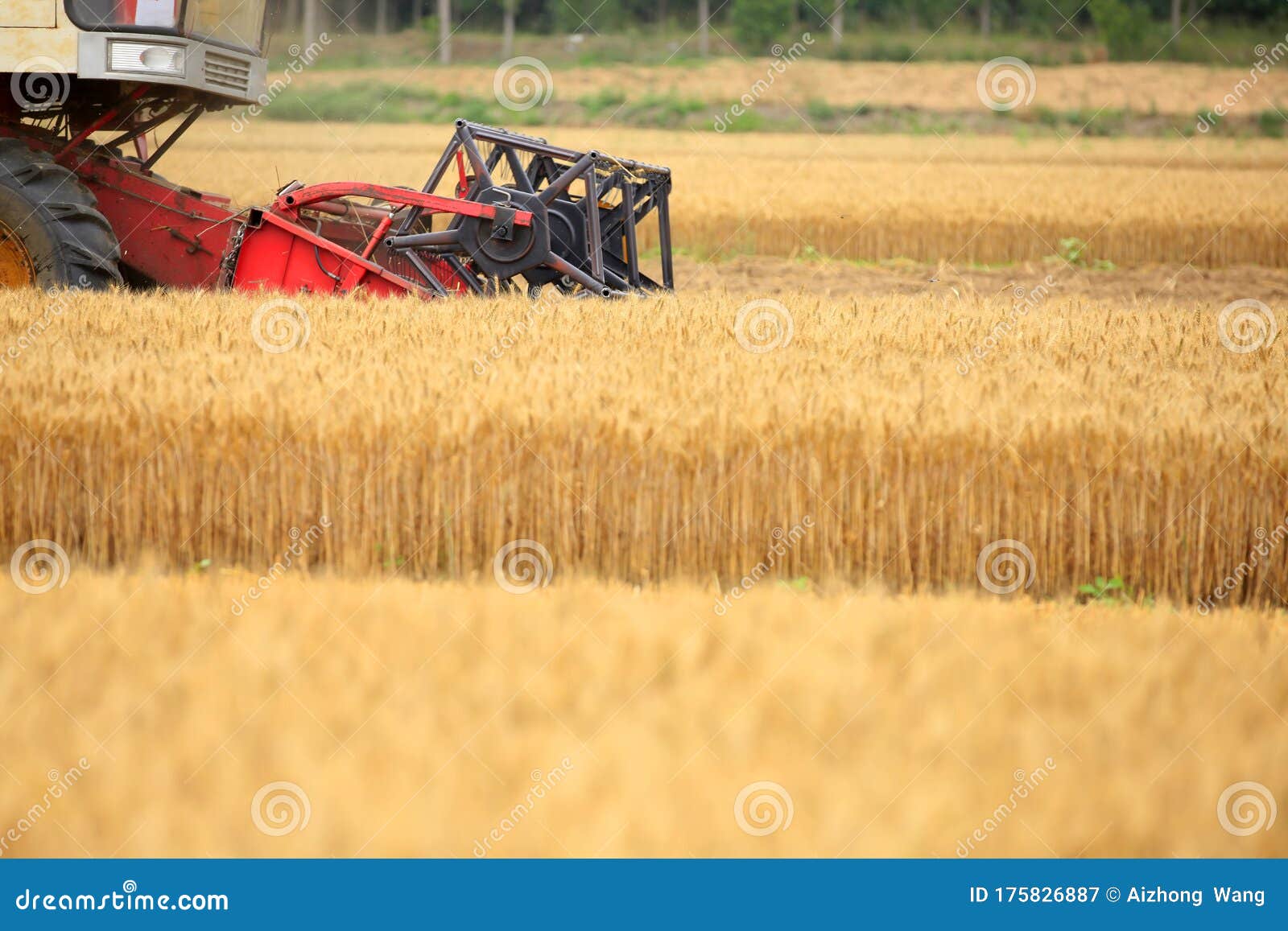 Combine harvester working stock image. Image of farming - 175826887