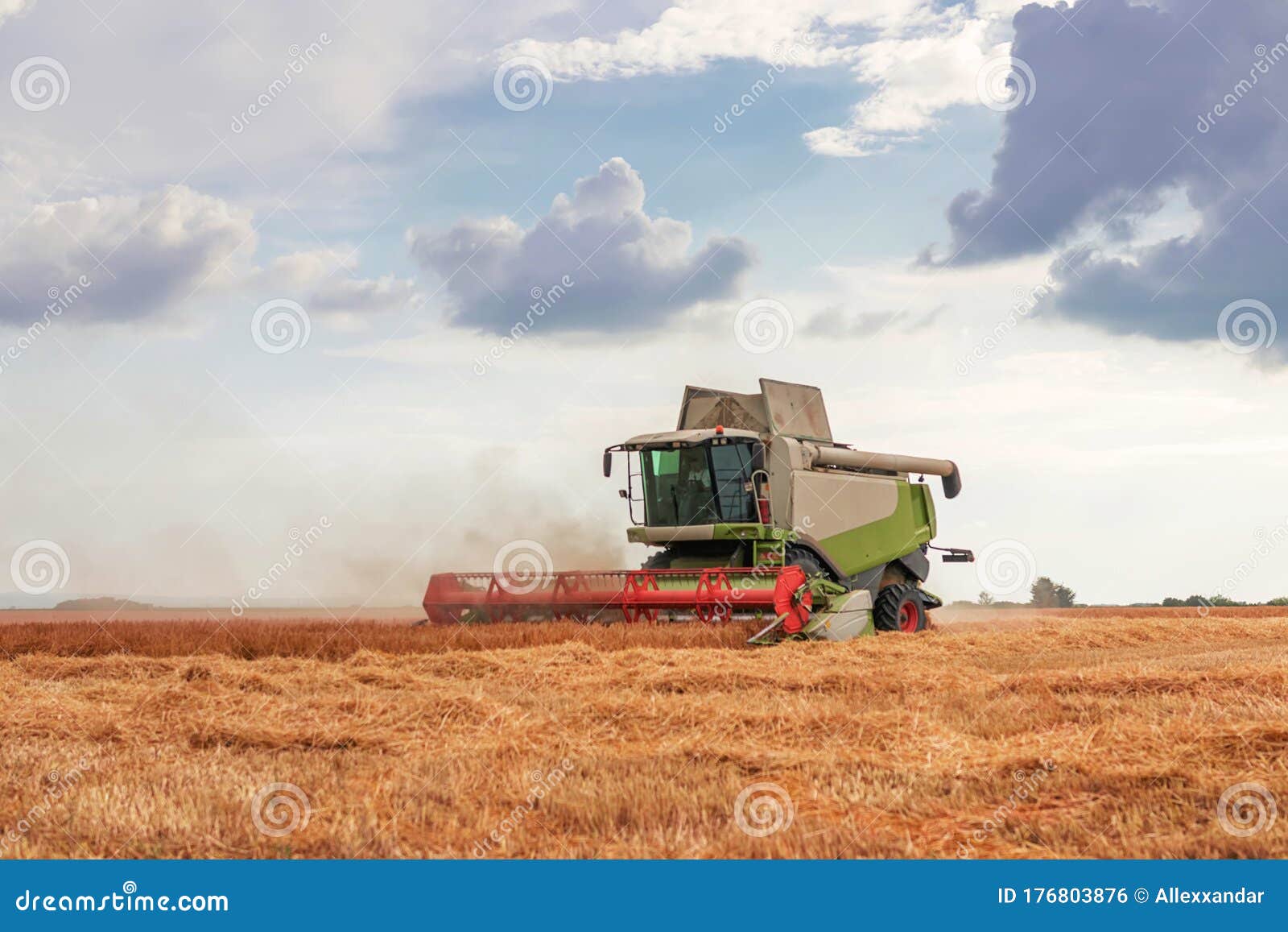Combine Harvester Working on a Wheat Field. Harvesting Wheat Stock ...