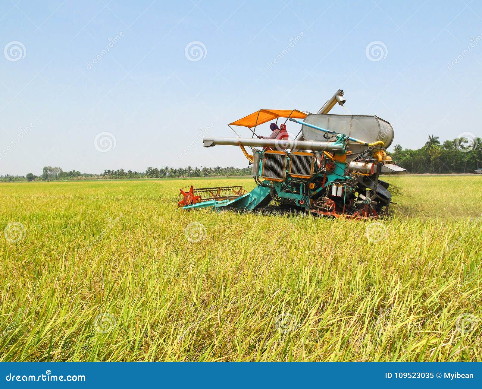 Combine Harvesters Cutting Wheat Field Editorial Image - Image of ...