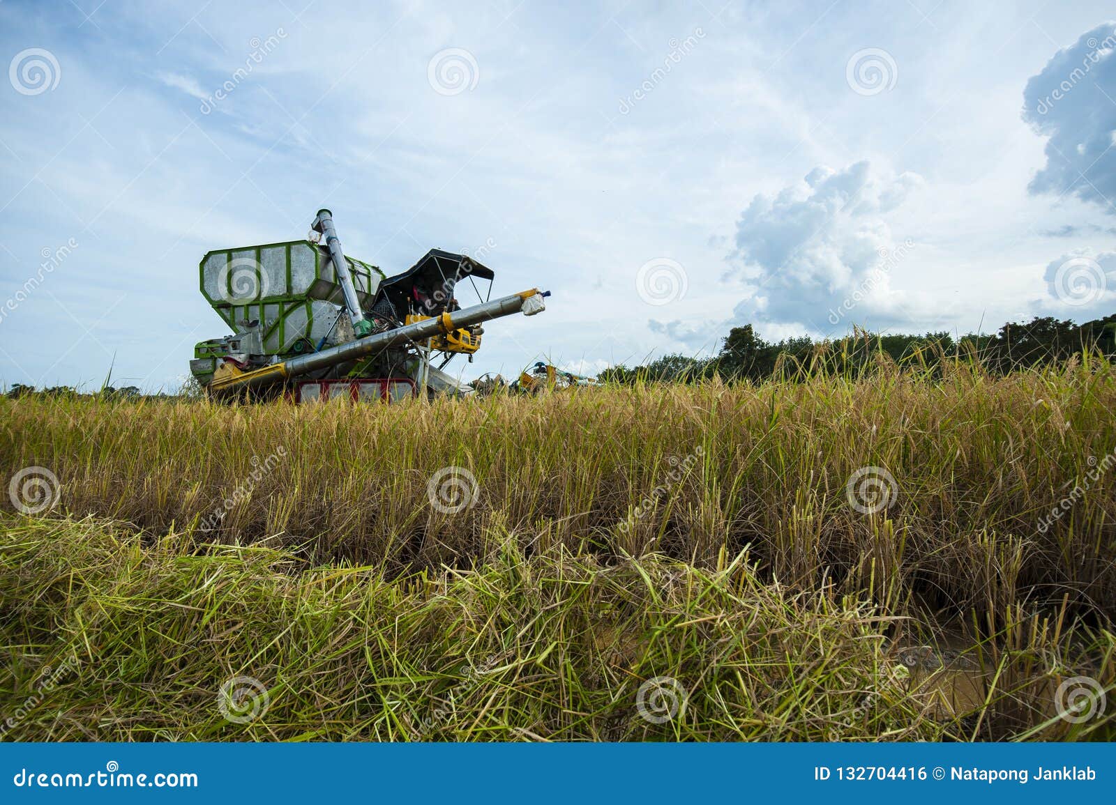 Combine Harvesters Machine Rice Stock Photo - Image of crop, farmer ...