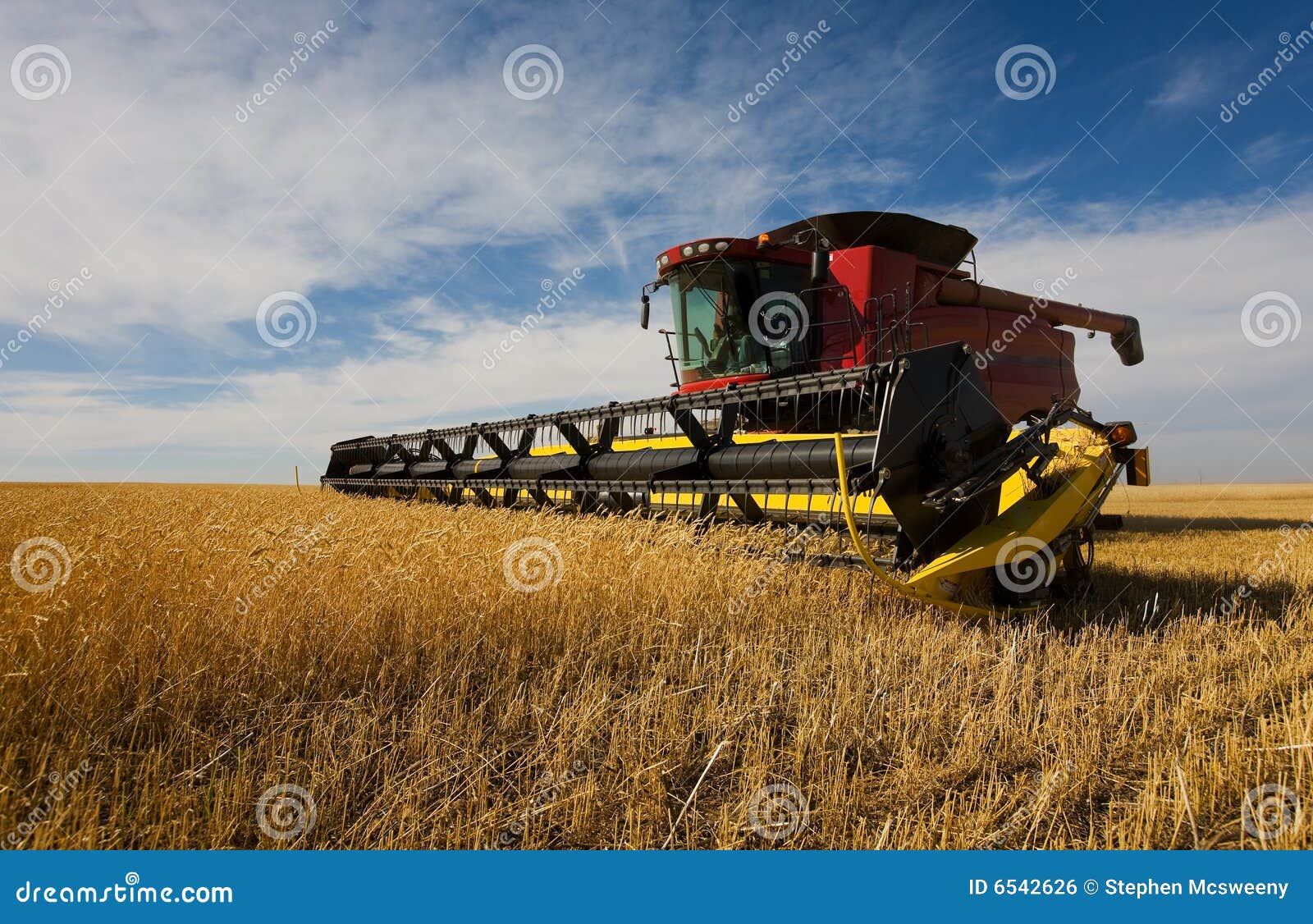 Combine harvesting stock photo. Image of wheat, work, tractor - 6542626