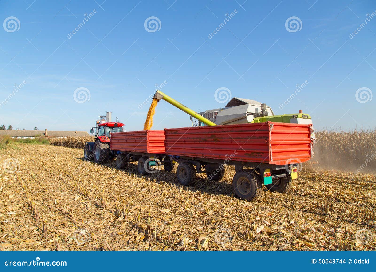 Combine Harvesting Corn and Unloading Grains in To Tractor Trailer ...