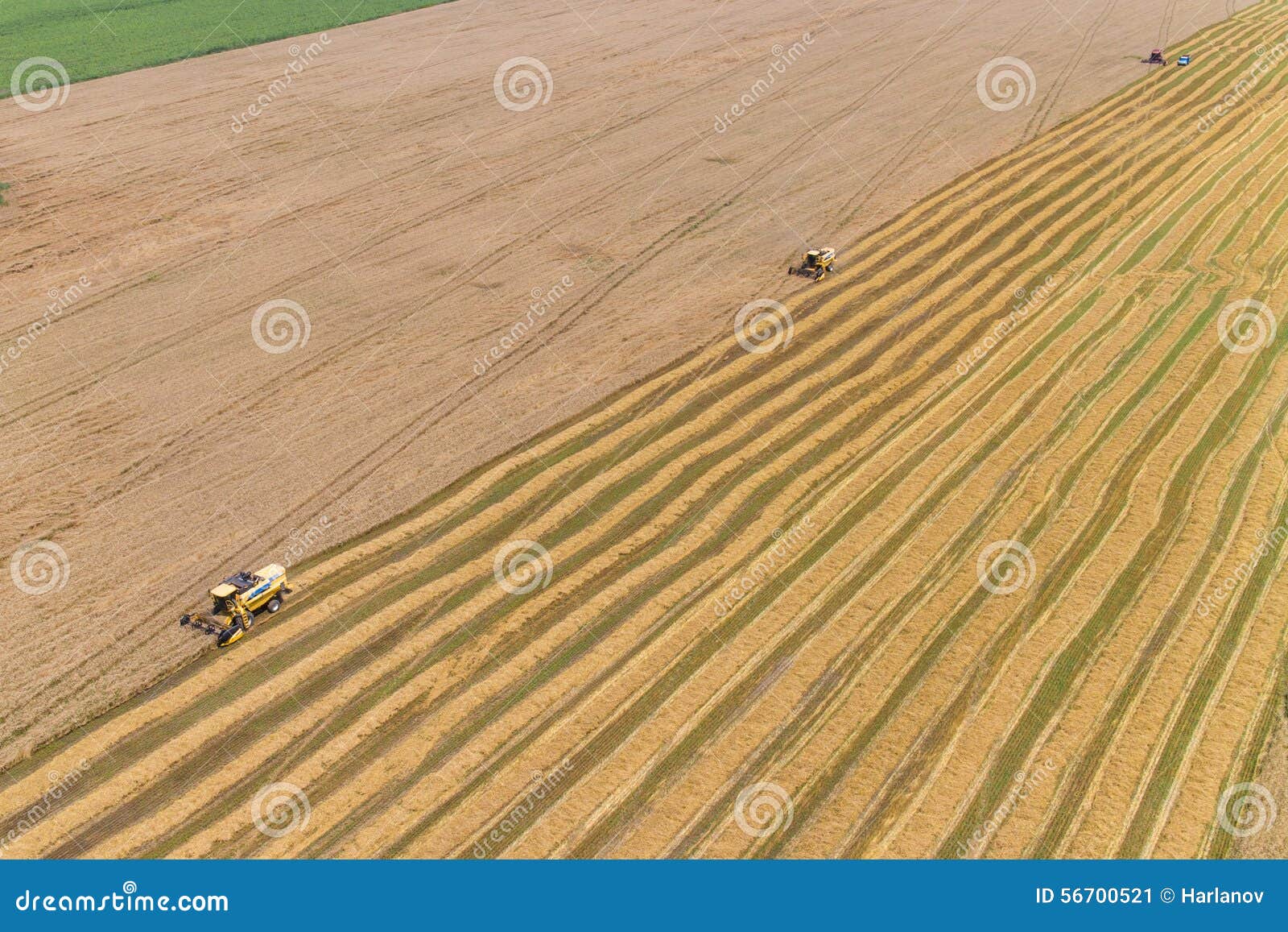 Combine Harvesting a Fall Corn Field Stock Image - Image of farm, angle ...