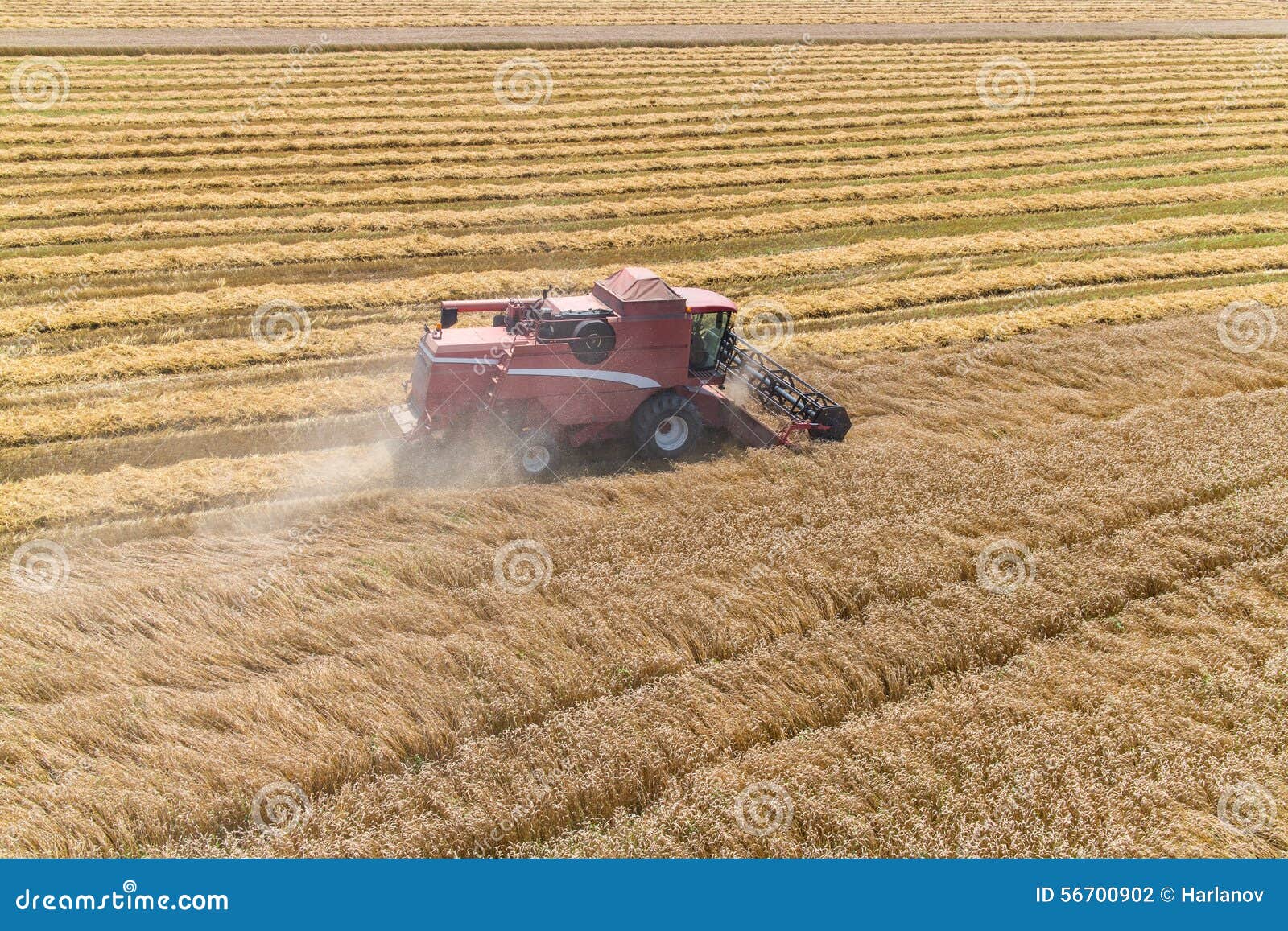Combine Harvesting a Fall Corn Field Stock Photo - Image of harvesting ...