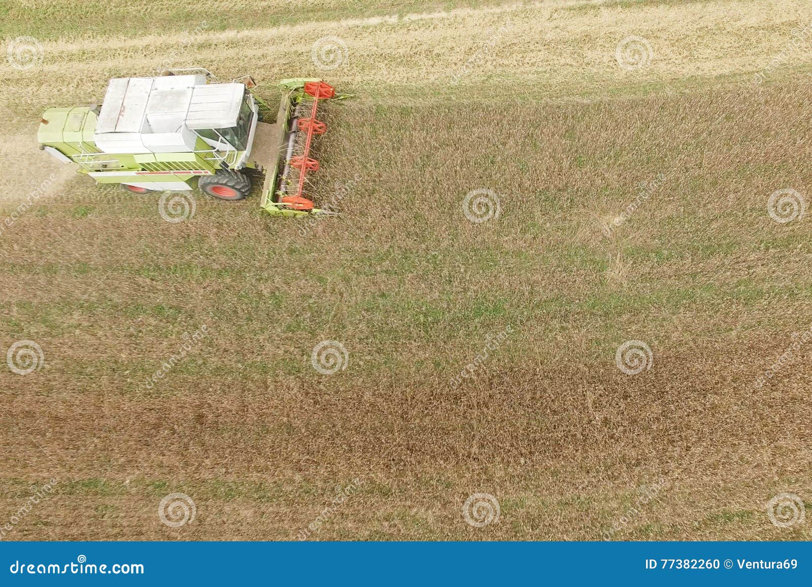 Combine Harvesting a Fall Corn Field Stock Photo - Image of grain ...