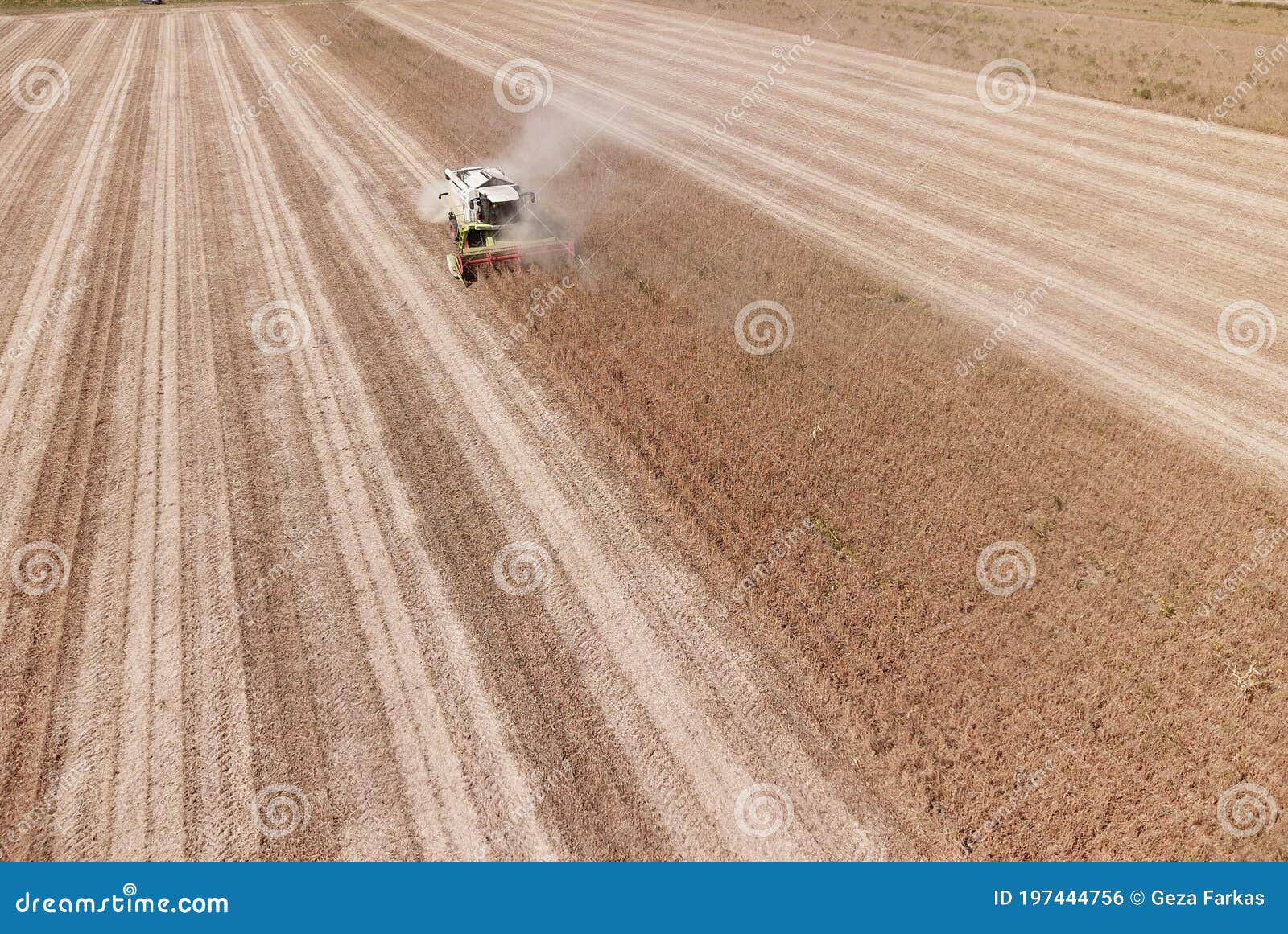 Combine Harvesting Soya Bean Field Stock Photo - Image of agricultural ...