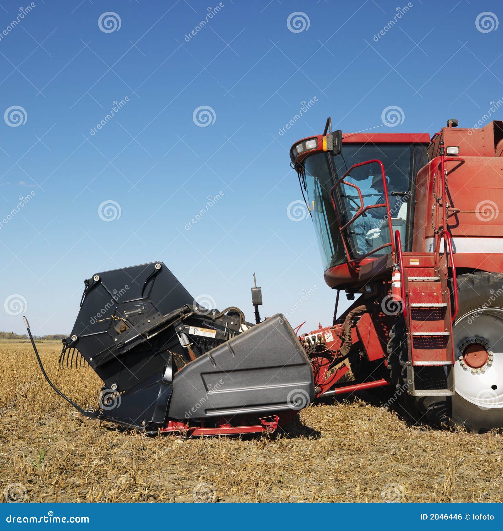 Combine Harvesting Soybeans Stock Photo - Image of plants, farming: 2046446