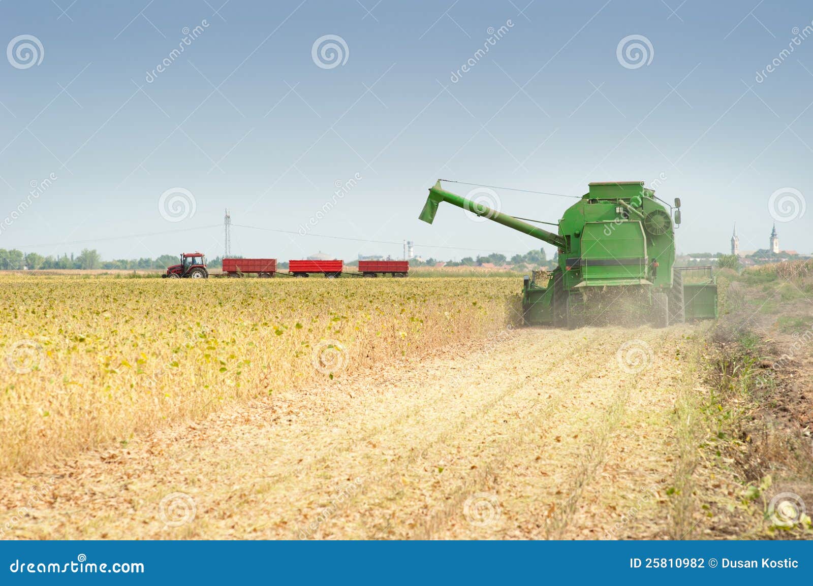 Combine Harvesting Soybeans Stock Photo - Image of harvester, food ...