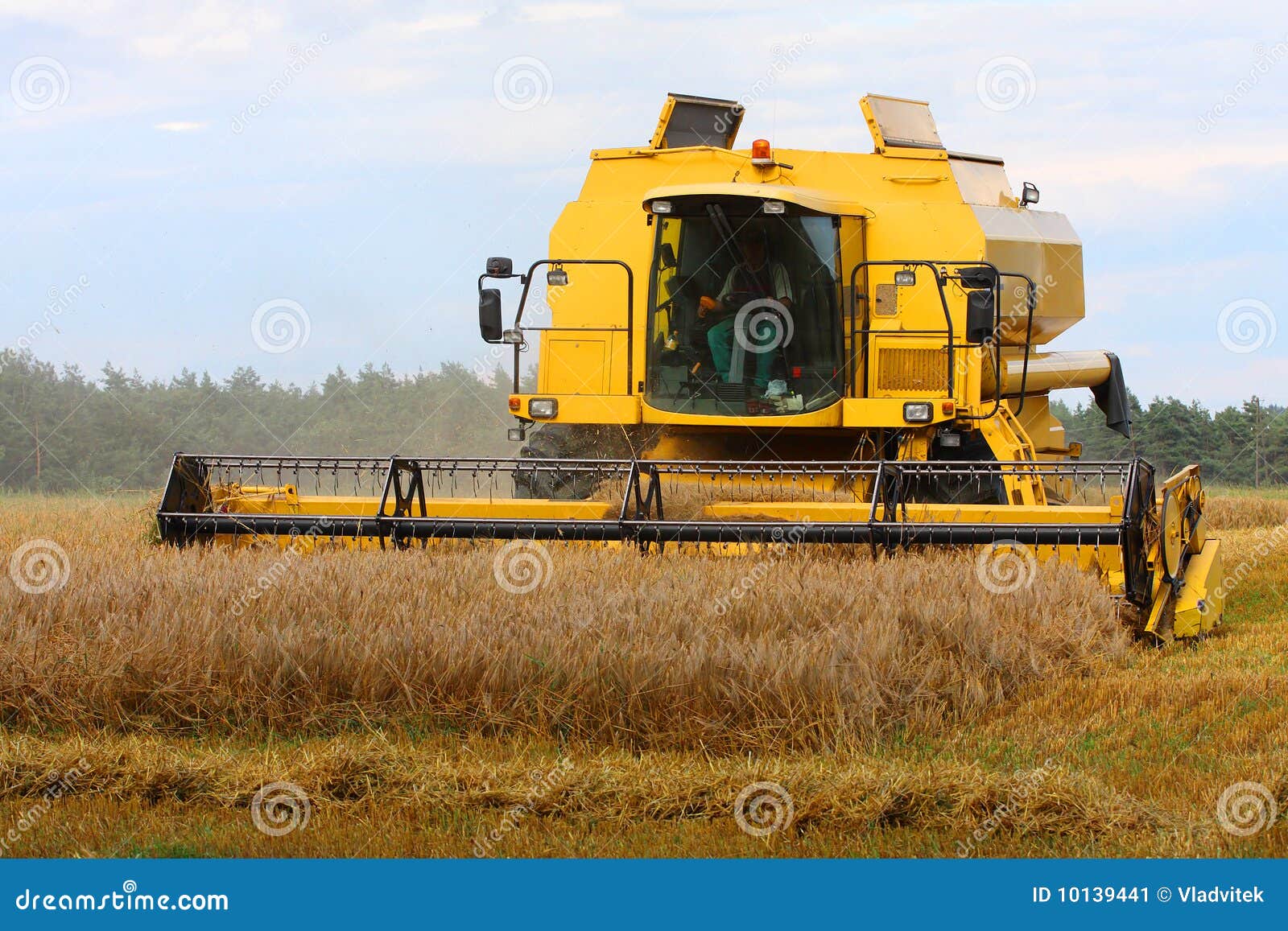 Combine harvesting wheat stock image. Image of growth - 10139441