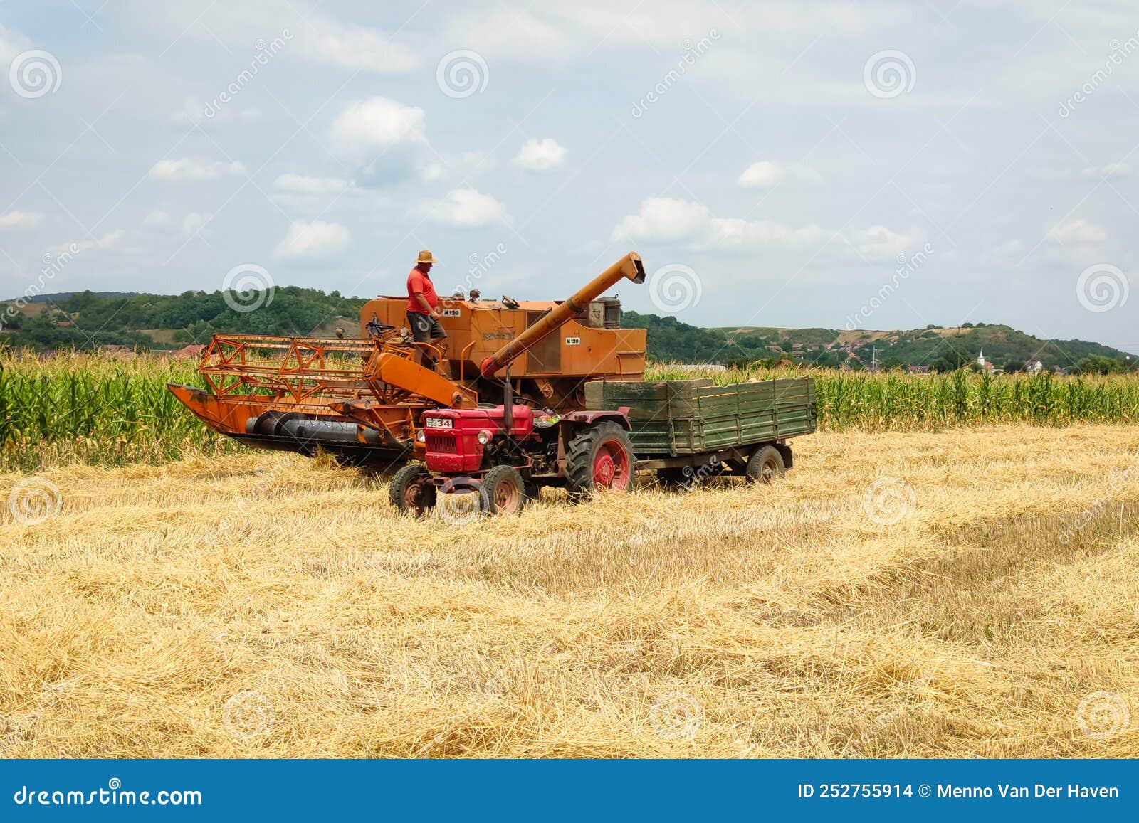 Combine is Harvesting Wheat in a Field Stock Photo - Image of grain ...