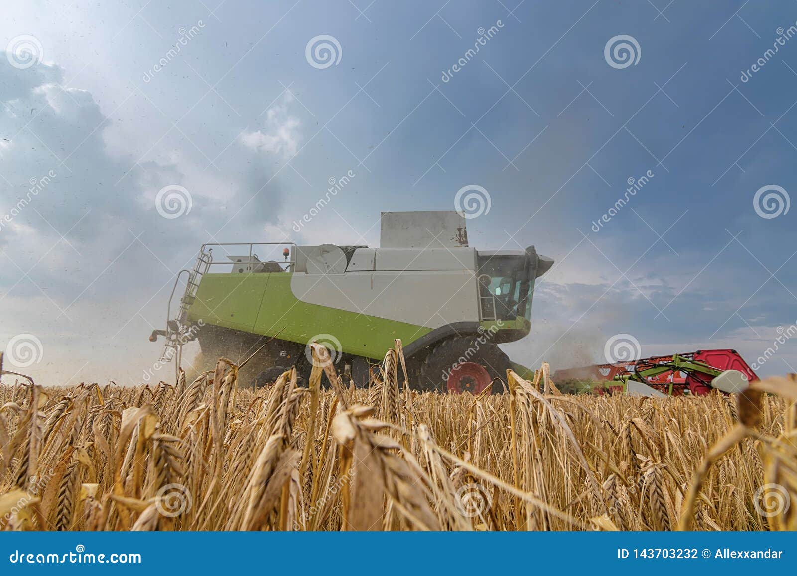 Combine Harvesting a Wheat Field. Combine Working the Field Stock Photo ...
