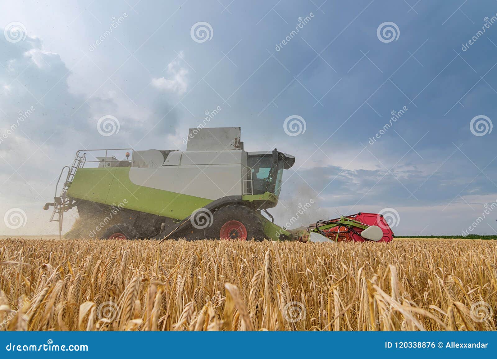 Combine Harvesting a Wheat Field. Combine Working the Field Stock Photo ...