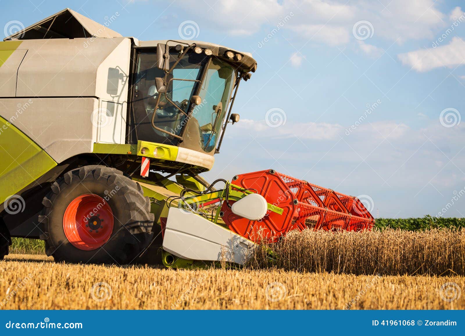 Combine harvesting wheat stock photo. Image of tractor - 41961068