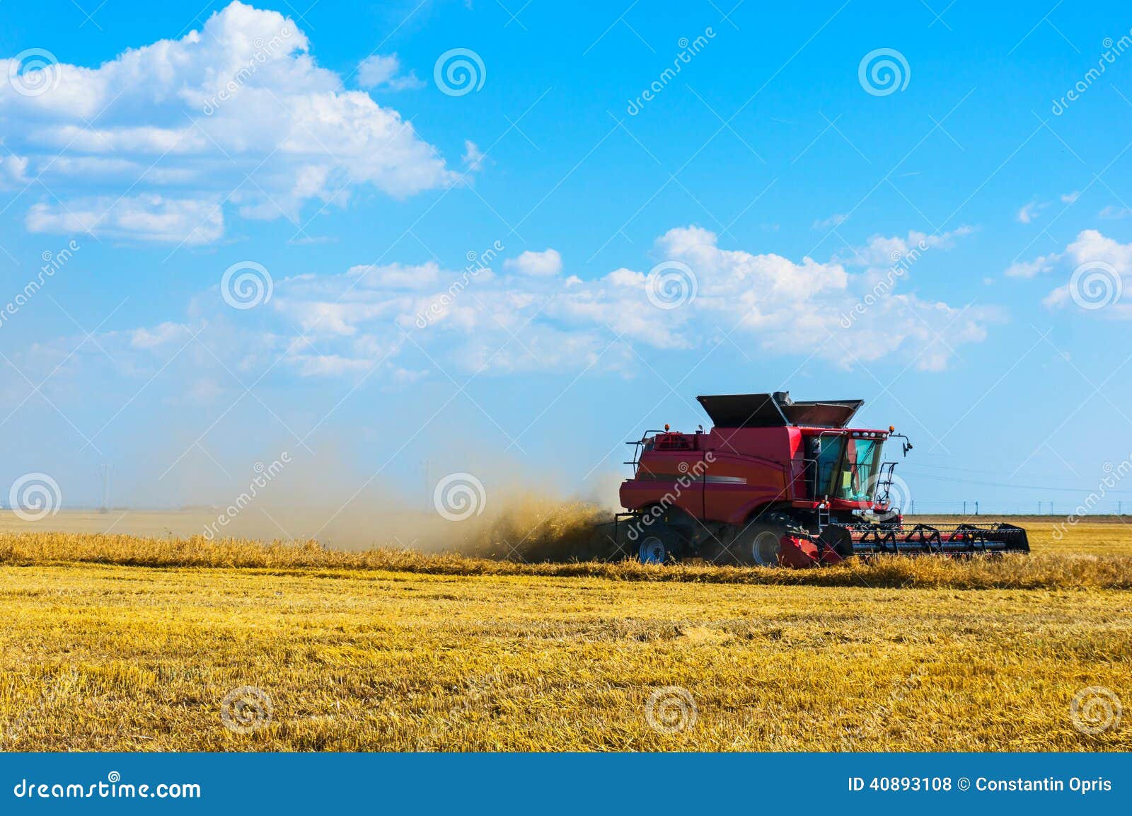 Combine harvesting wheat stock photo. Image of bred, harvester - 40893108
