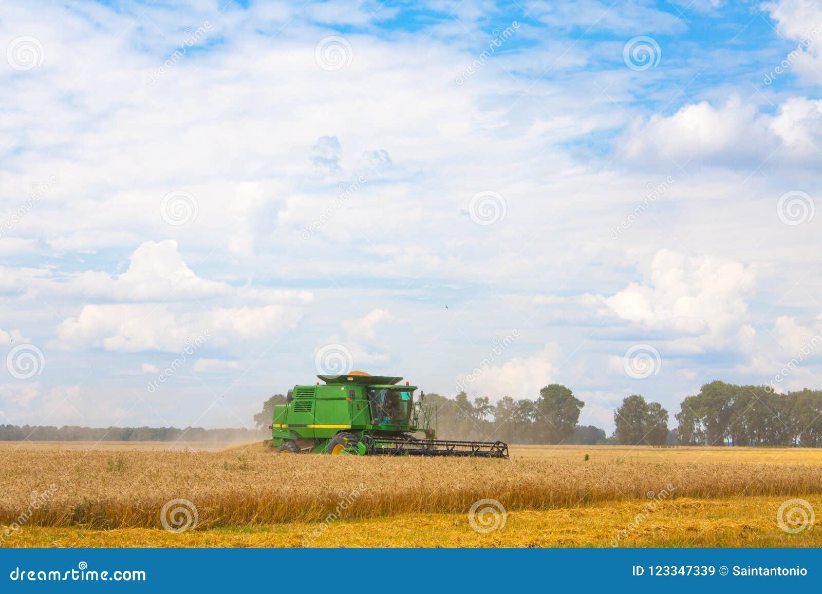 Combine Harvesting Wheat Plants in the Field Stock Image - Image of ...