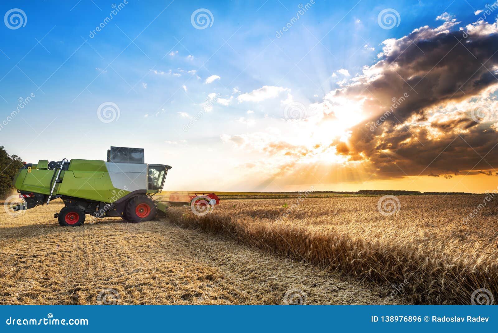Combine Harvesting the Wheat on a Sunset Stock Photo - Image of ...