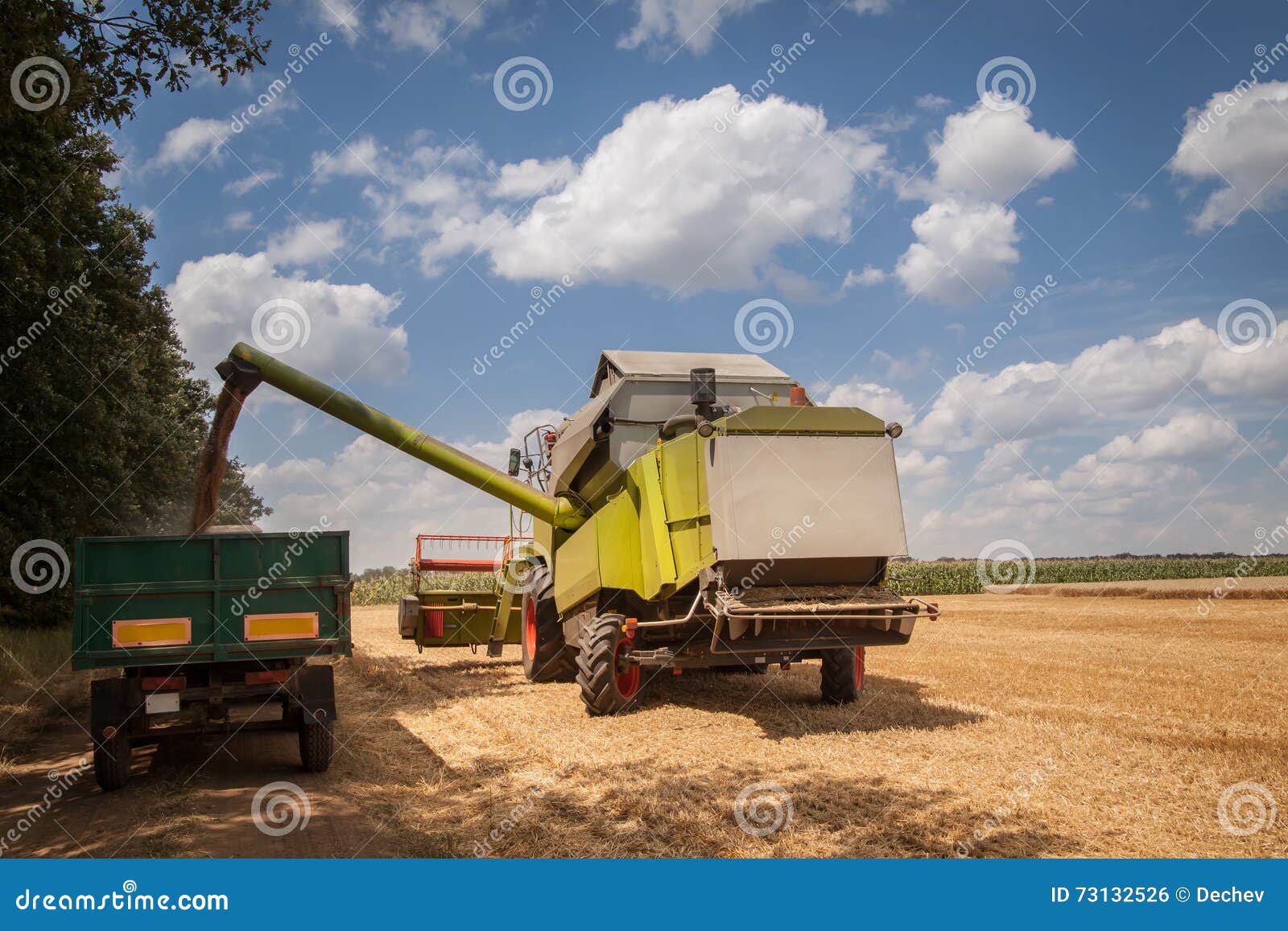 Combine Harvesting Wheat and Unloading Grains into Tractor Trailer ...