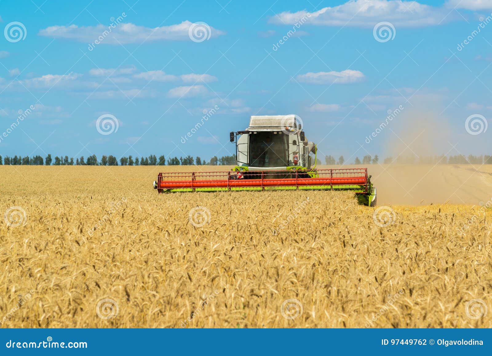 Combine Harvests Grain Harvest in the Field, Russia Stock Photo - Image ...