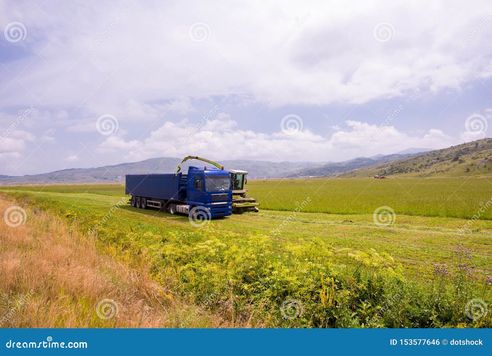 Combine Machine Loading Bunker of the Truck Stock Photo - Image of ...