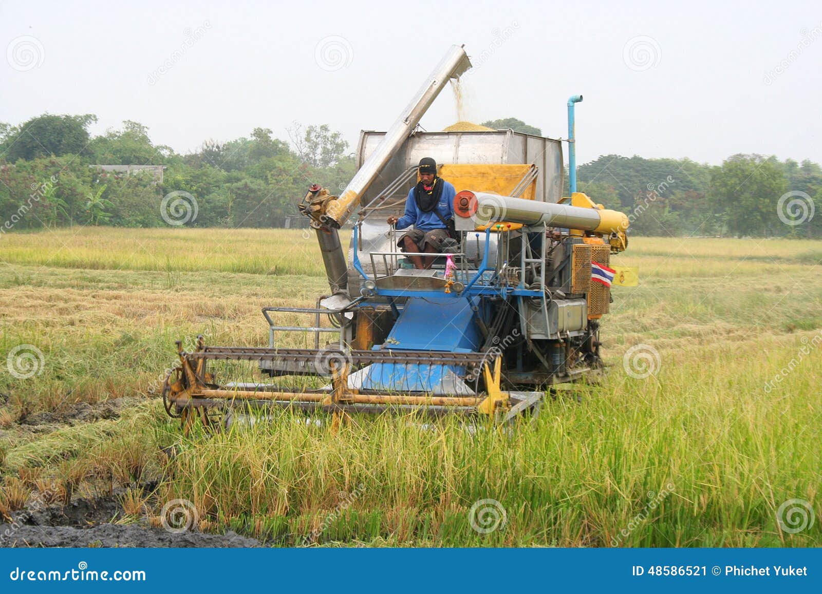 Combine editorial photo. Image of farm, ricefield, pasture - 48586521