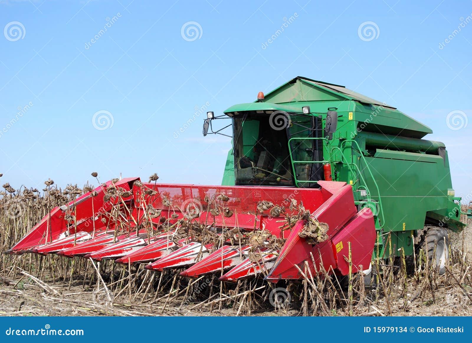 Sunflower Harvesting Equipment