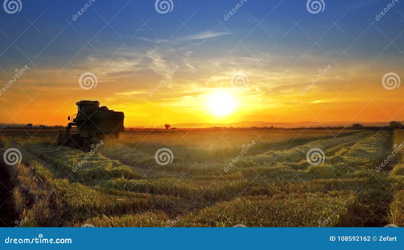 Combine Tractor in Field Harvesting at Sunset Stock Photo - Image of ...