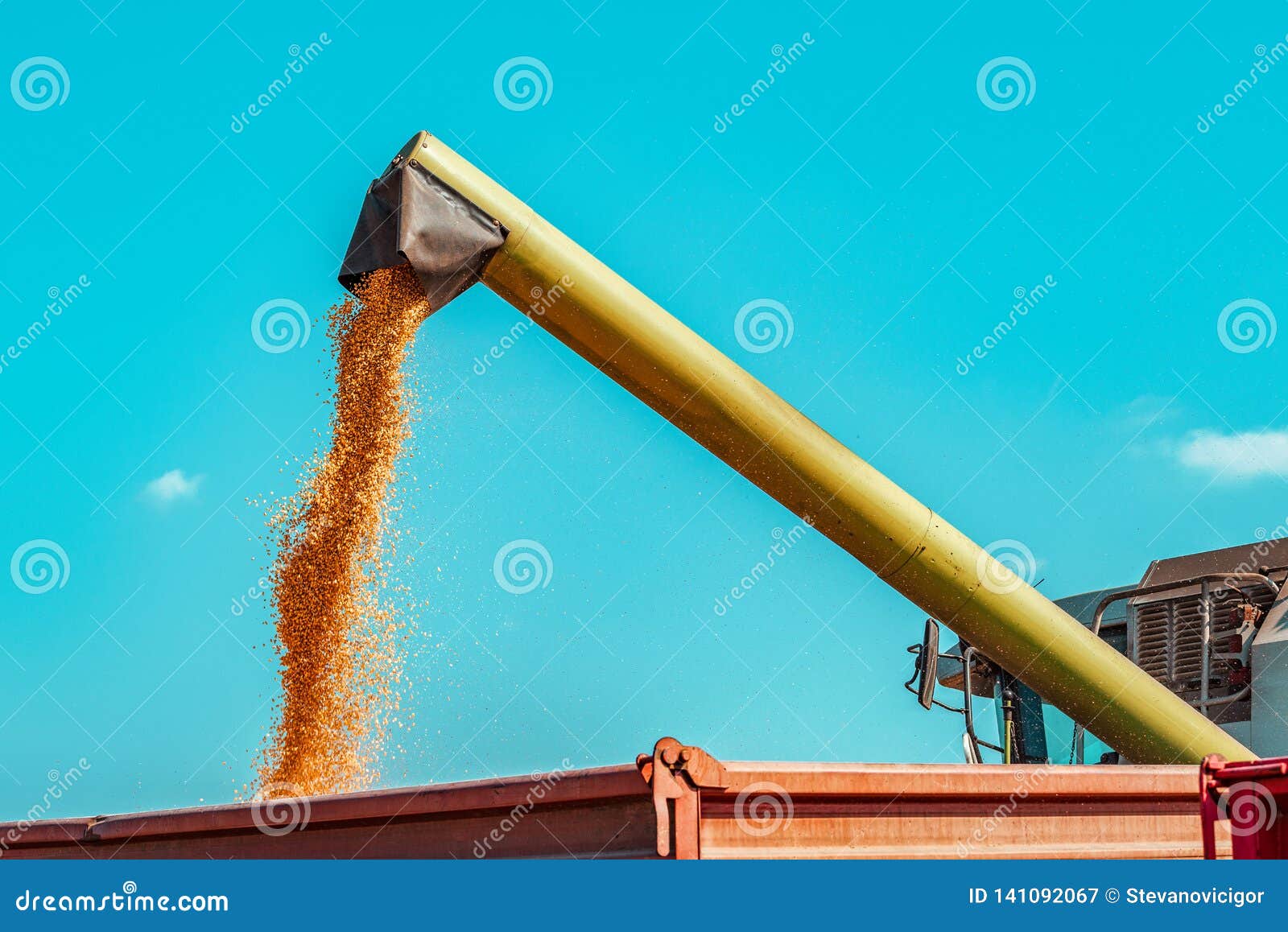 Combine Unloader Pouring Harvested Corn Kernels Stock Image - Image of ...