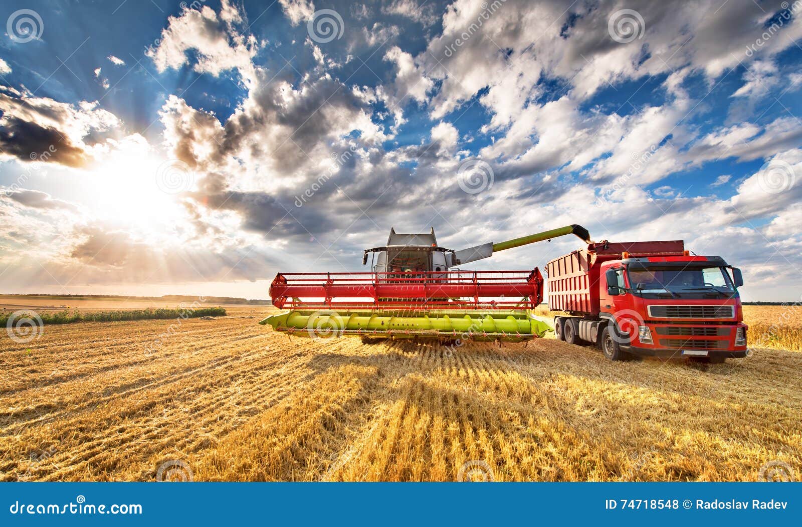 Combine unloading grains editorial stock photo. Image of campaign ...