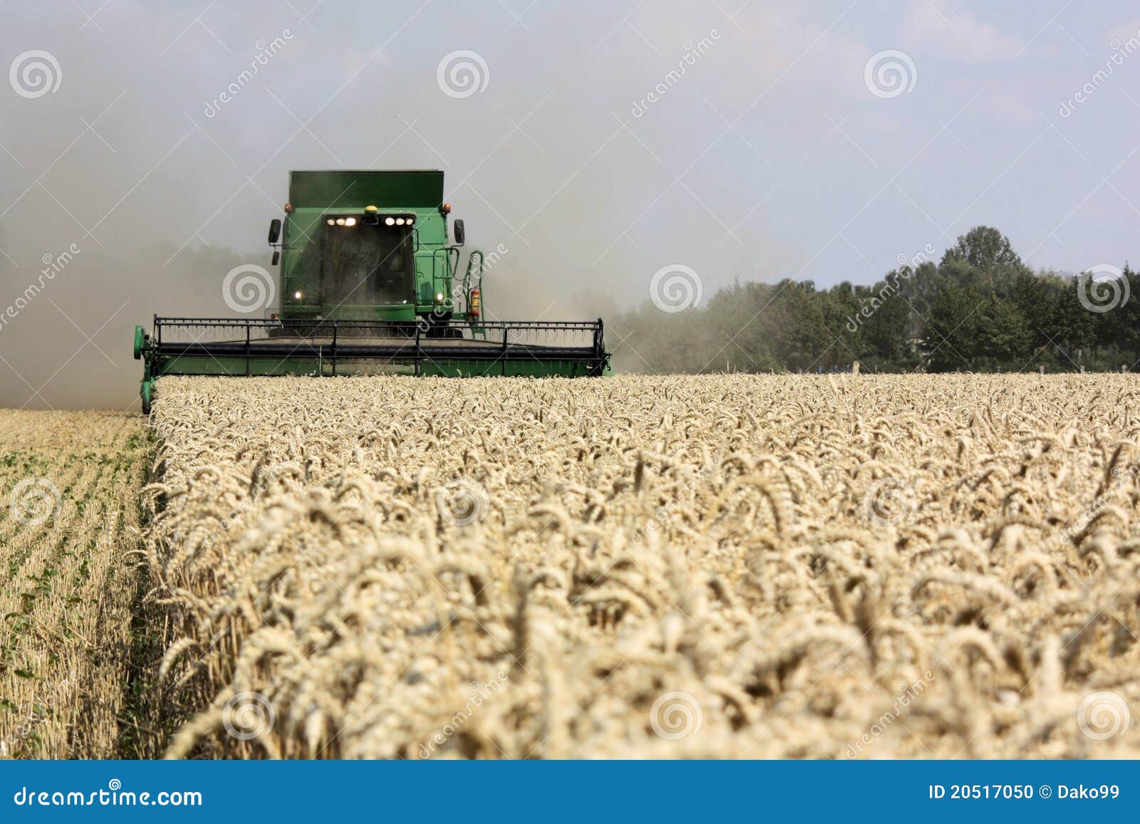 Combine in wheat field stock photo. Image of wheat, machinery - 20517050