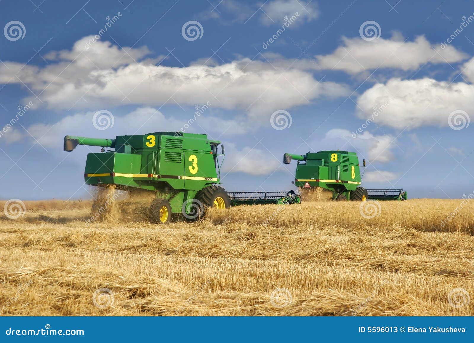 Combine on wheat field editorial stock photo. Image of growing - 5596013