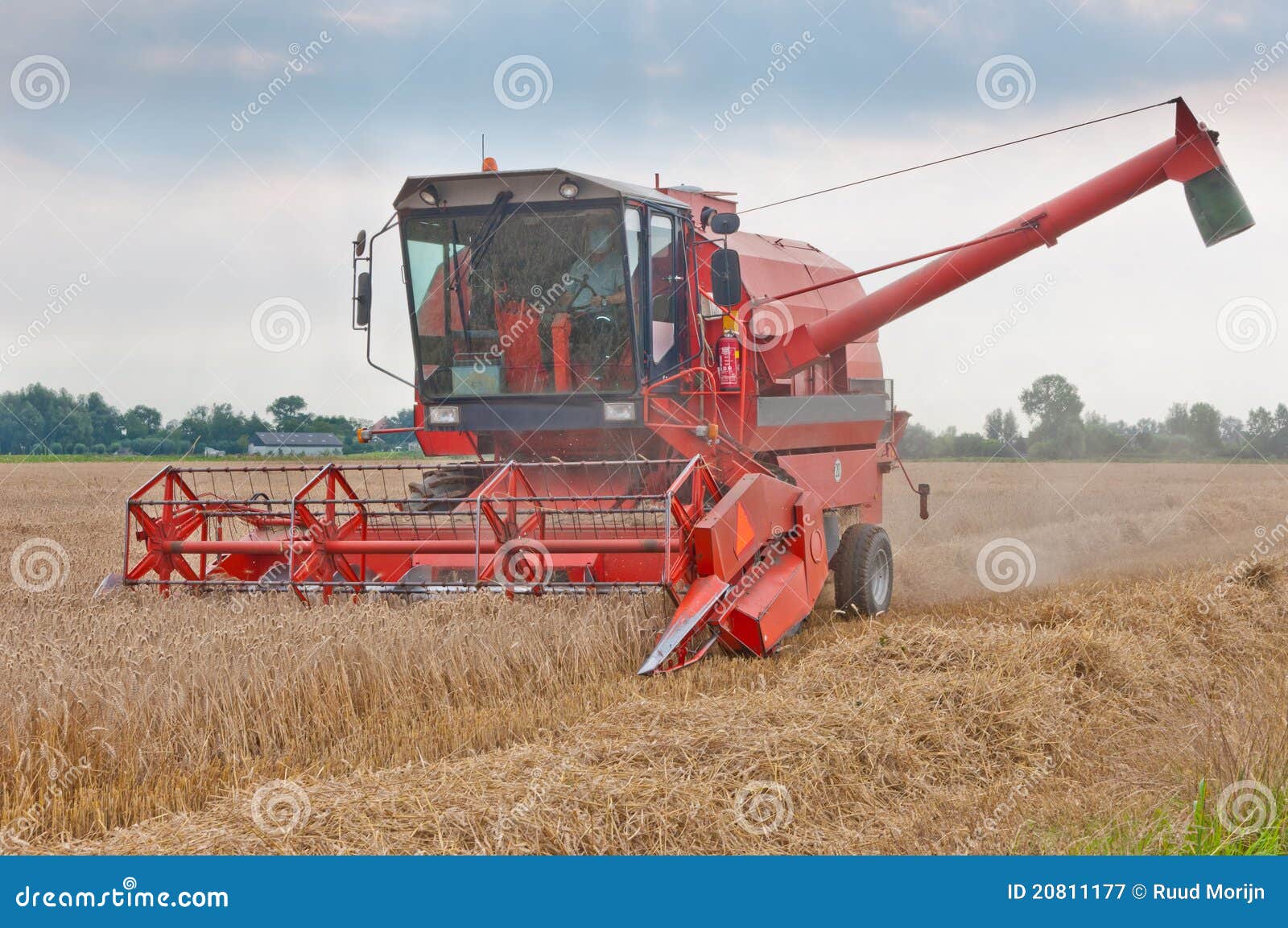 A Combine at Work in a Cornfield Stock Image - Image of field, dutch ...