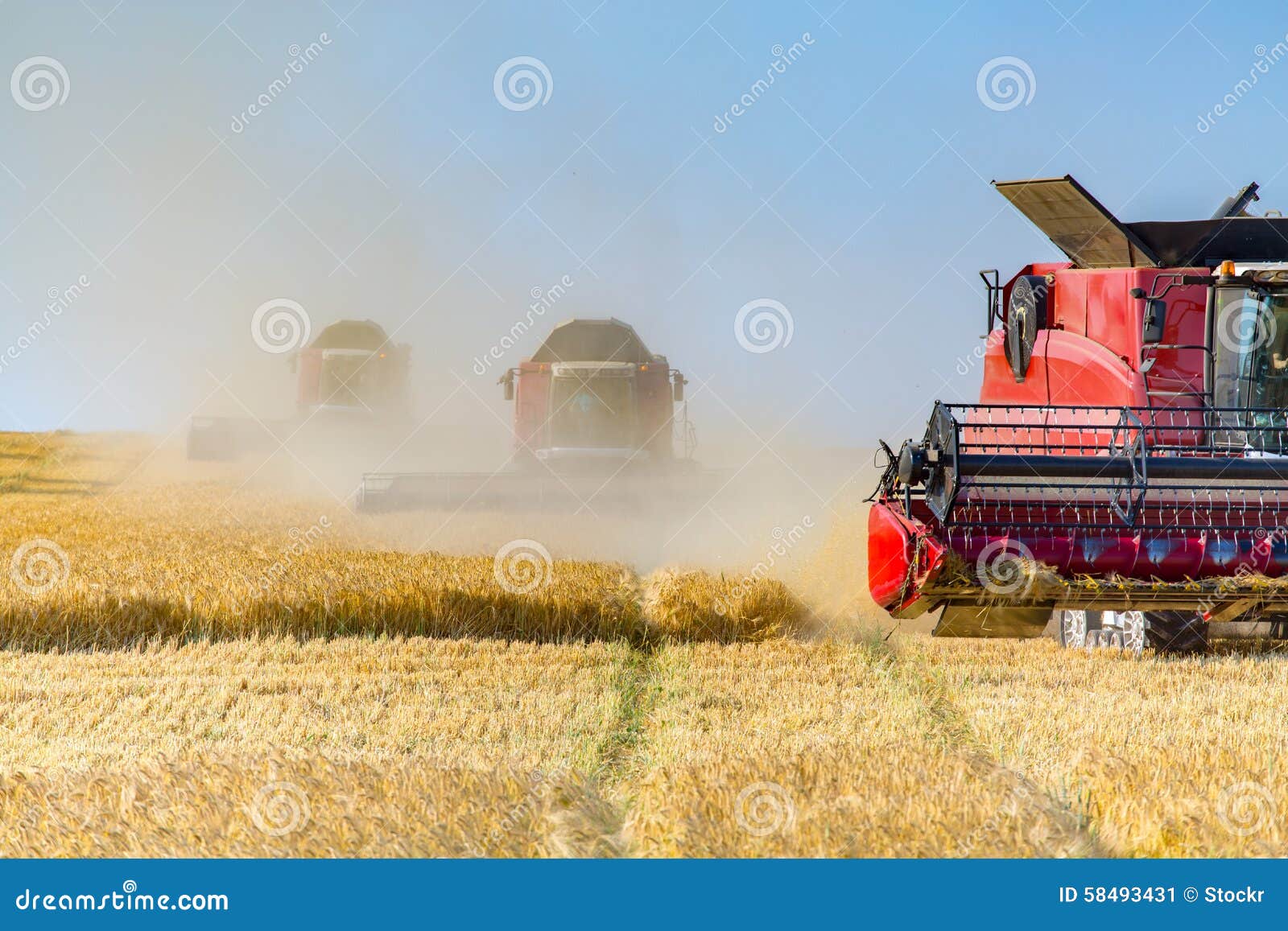 Combine Working on Barley Field Stock Image - Image of land, outdoor ...