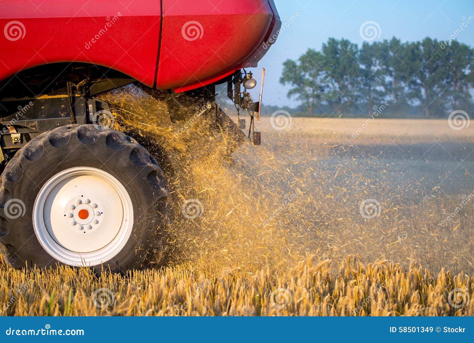 Combine Working on Barley Field Stock Image - Image of rural, blue ...