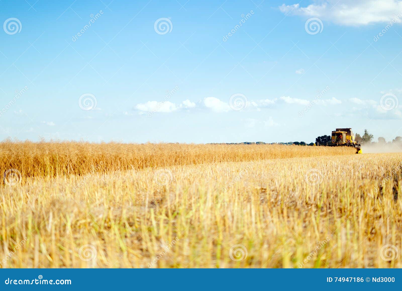 Combine working in fields stock photo. Image of produce - 74947186