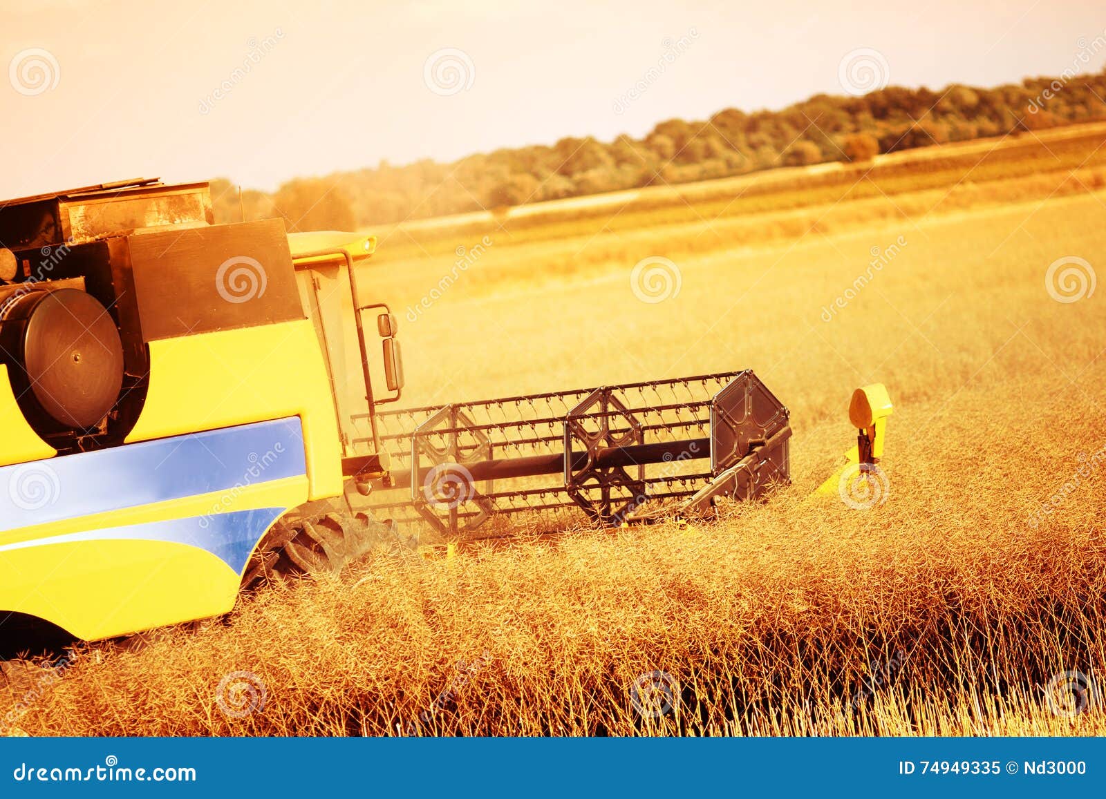 Combine working in fields stock image. Image of agronomy - 74949335
