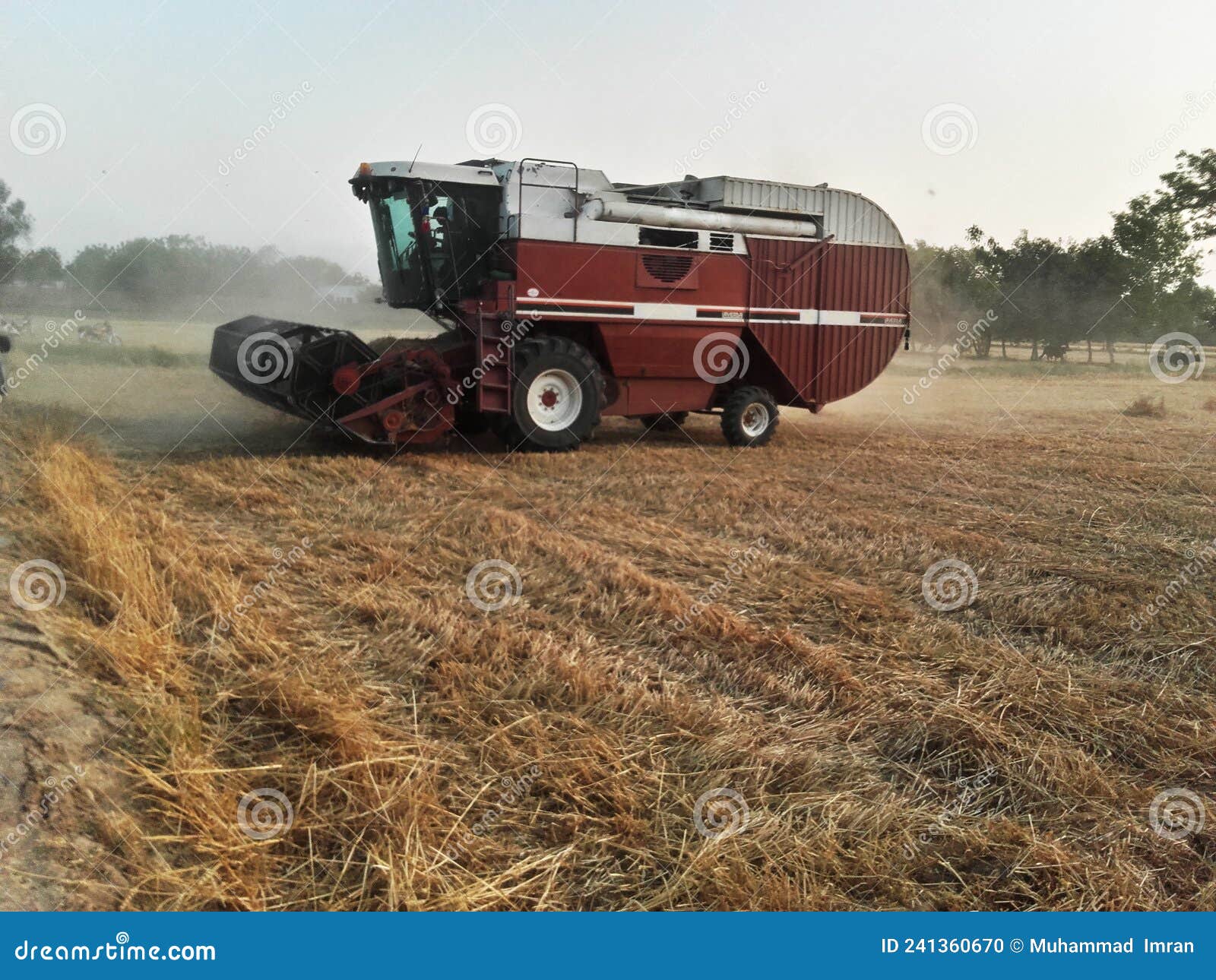 Combined Harvest Machine in the Fields. Stock Photo - Image of ...