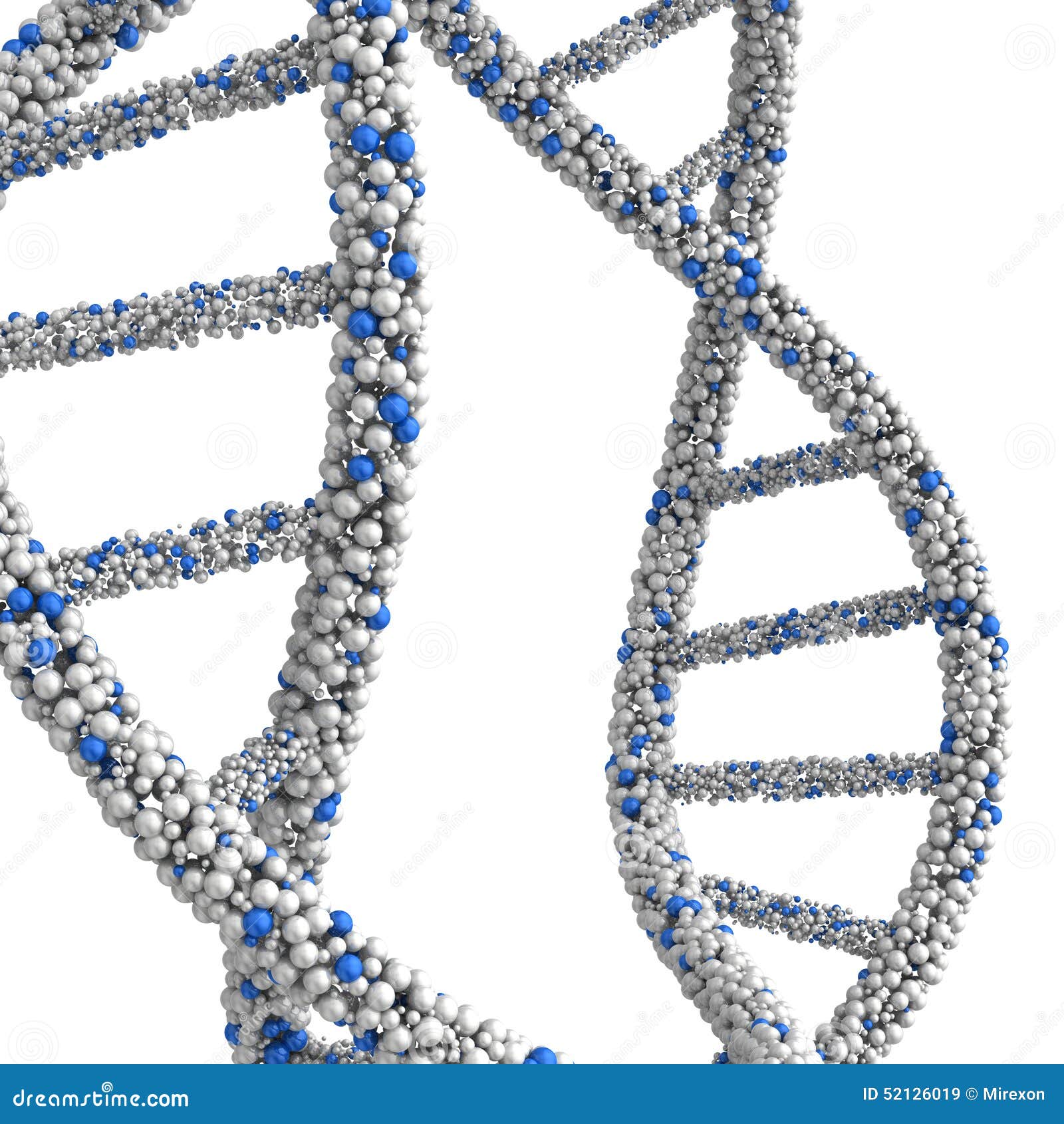 The Combined Structure DNA Molecules in the Form Stock Illustration ...