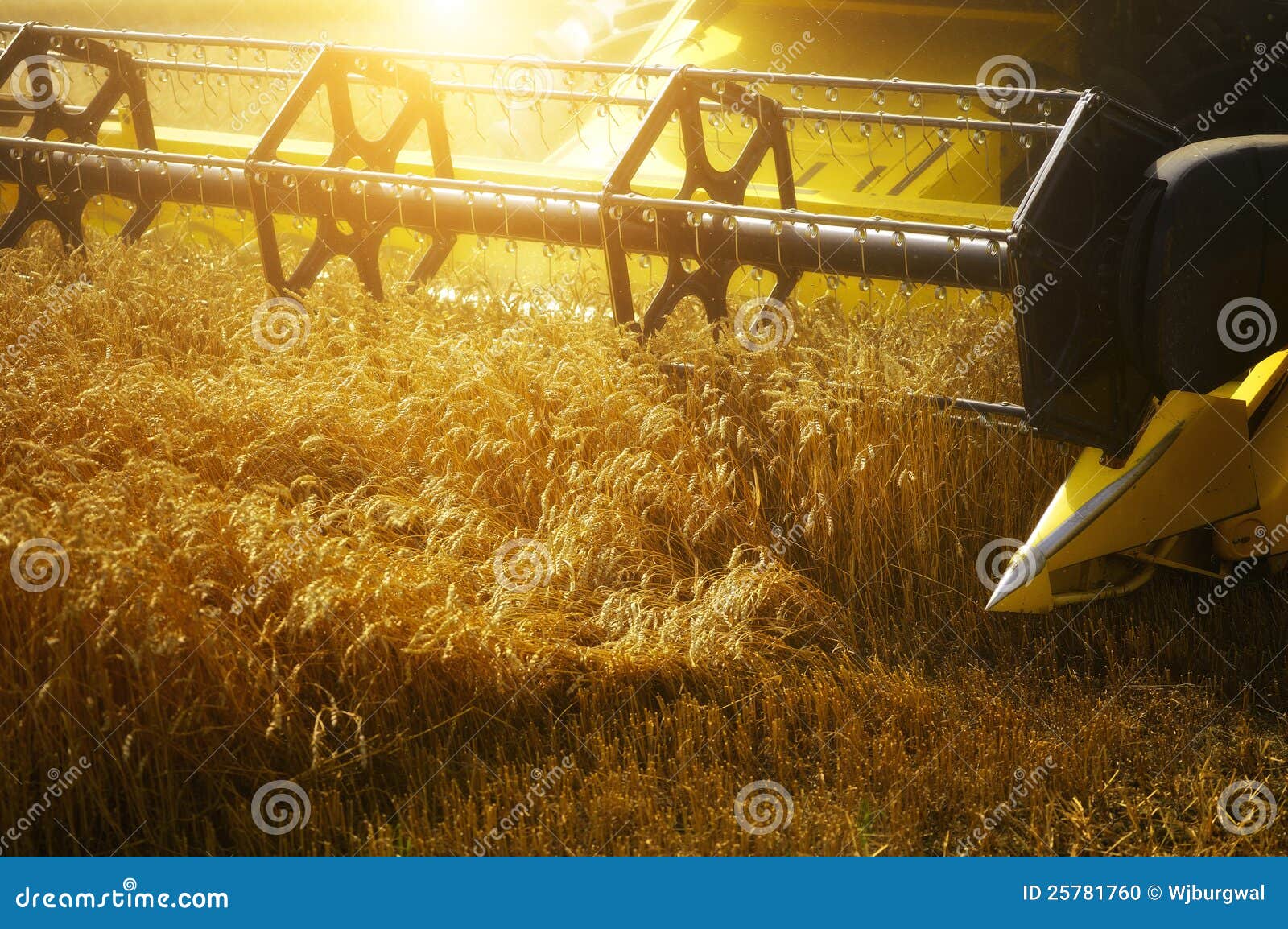Combiner stock photo. Image of farm, plant, agriculture - 25781760