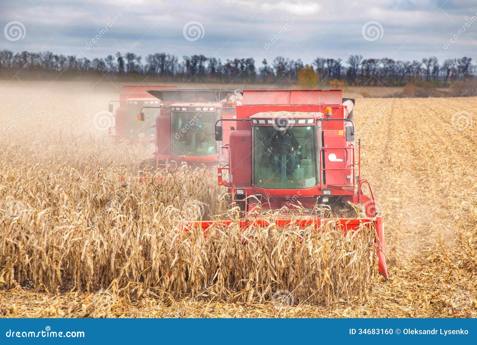 Combines during Harvest Corn Stock Photo - Image of cereal, combines ...