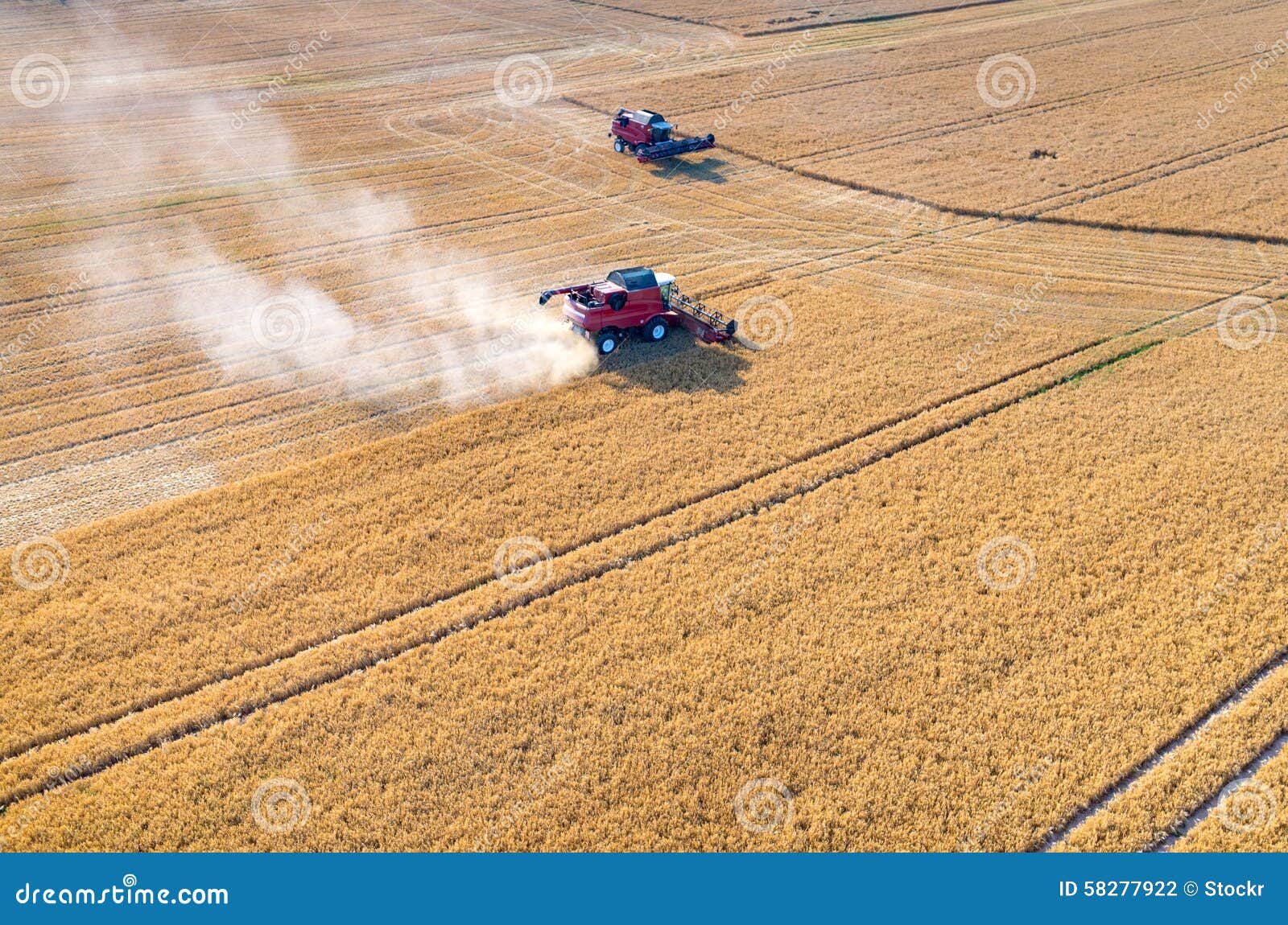 Combines and Tractors Working on the Wheat Field Stock Photo - Image of ...