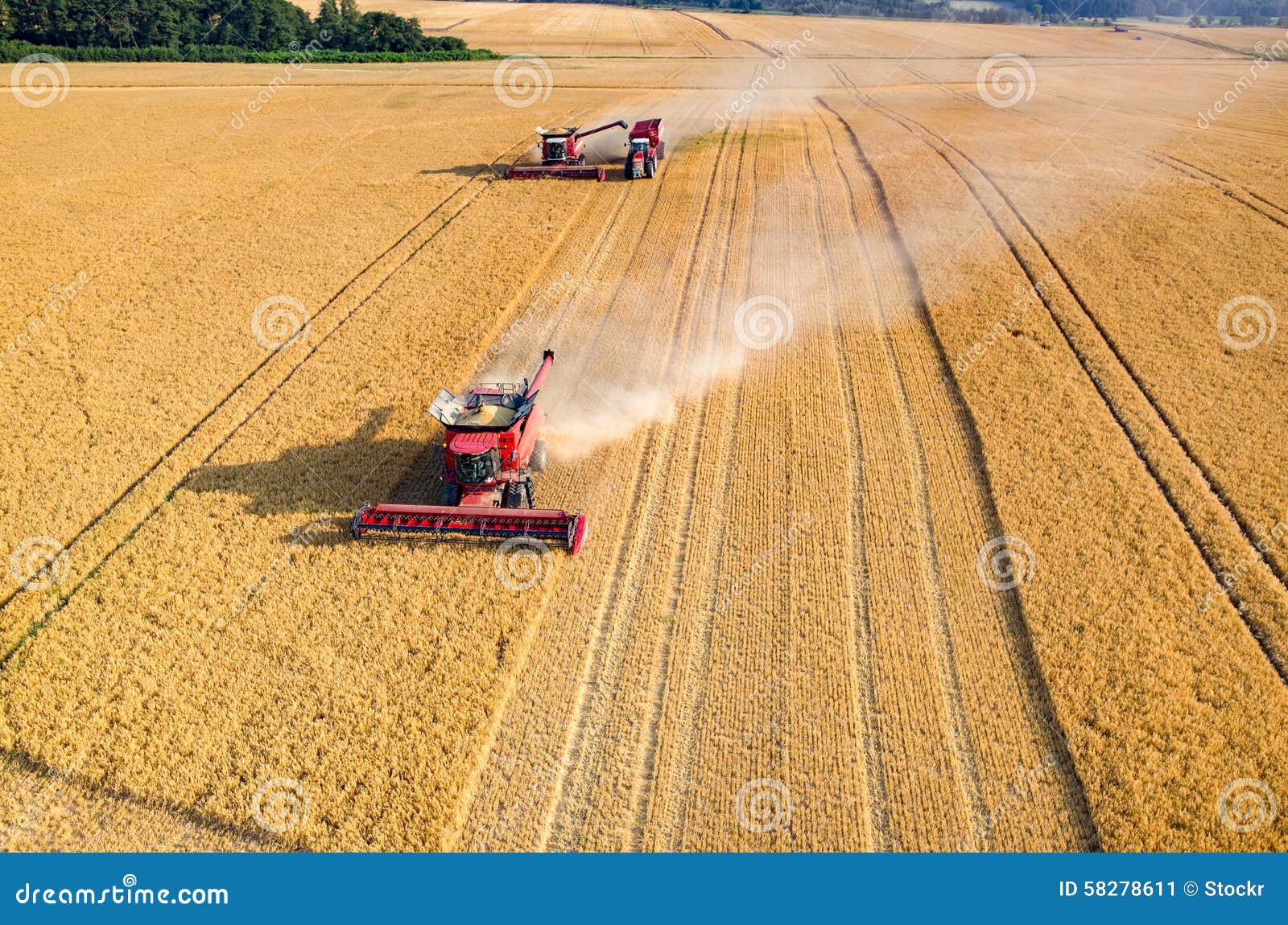 Combines and Tractors Working on the Wheat Field Stock Image - Image of ...
