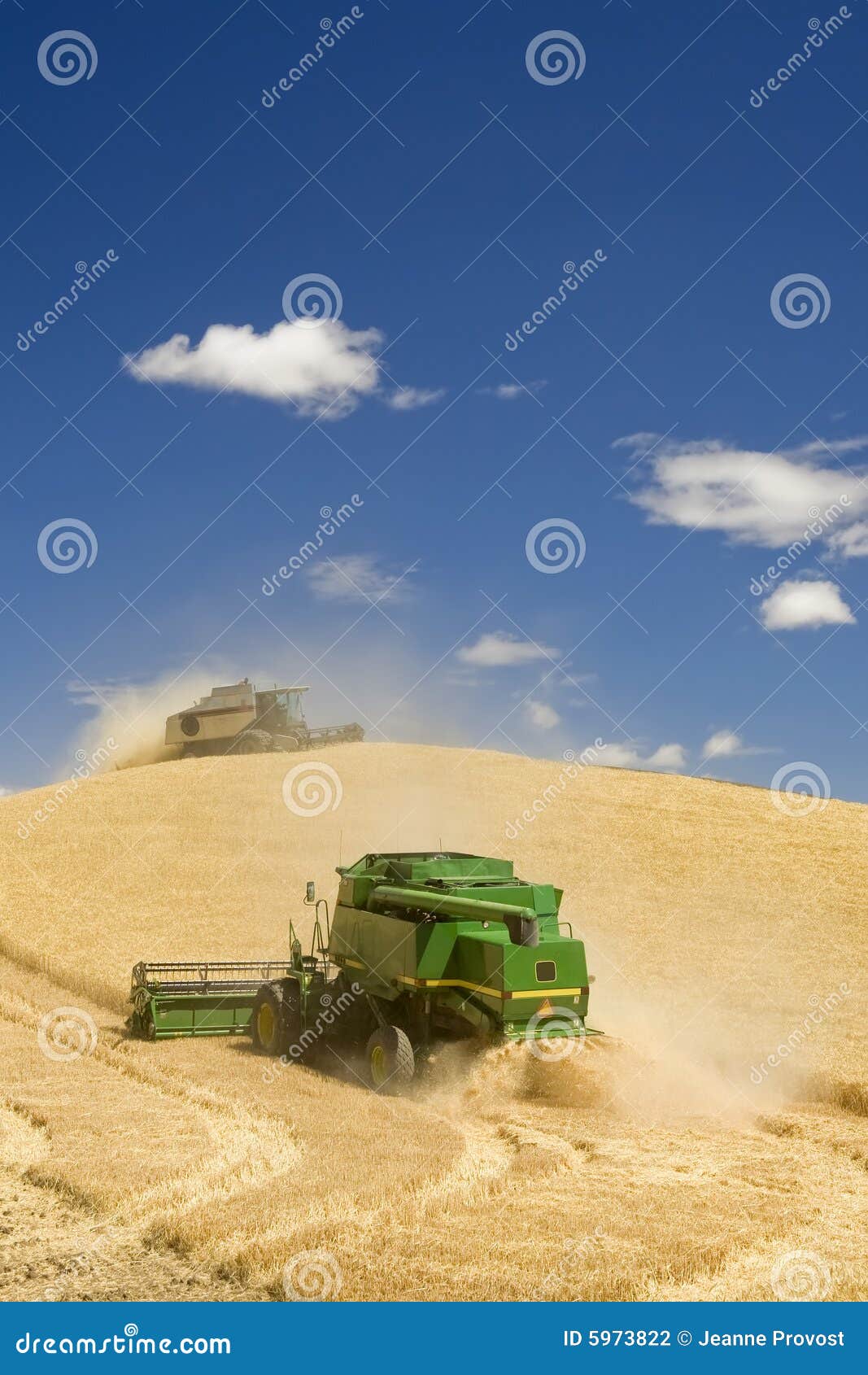 Combines in the Wheat Field Editorial Photography - Image of fall ...