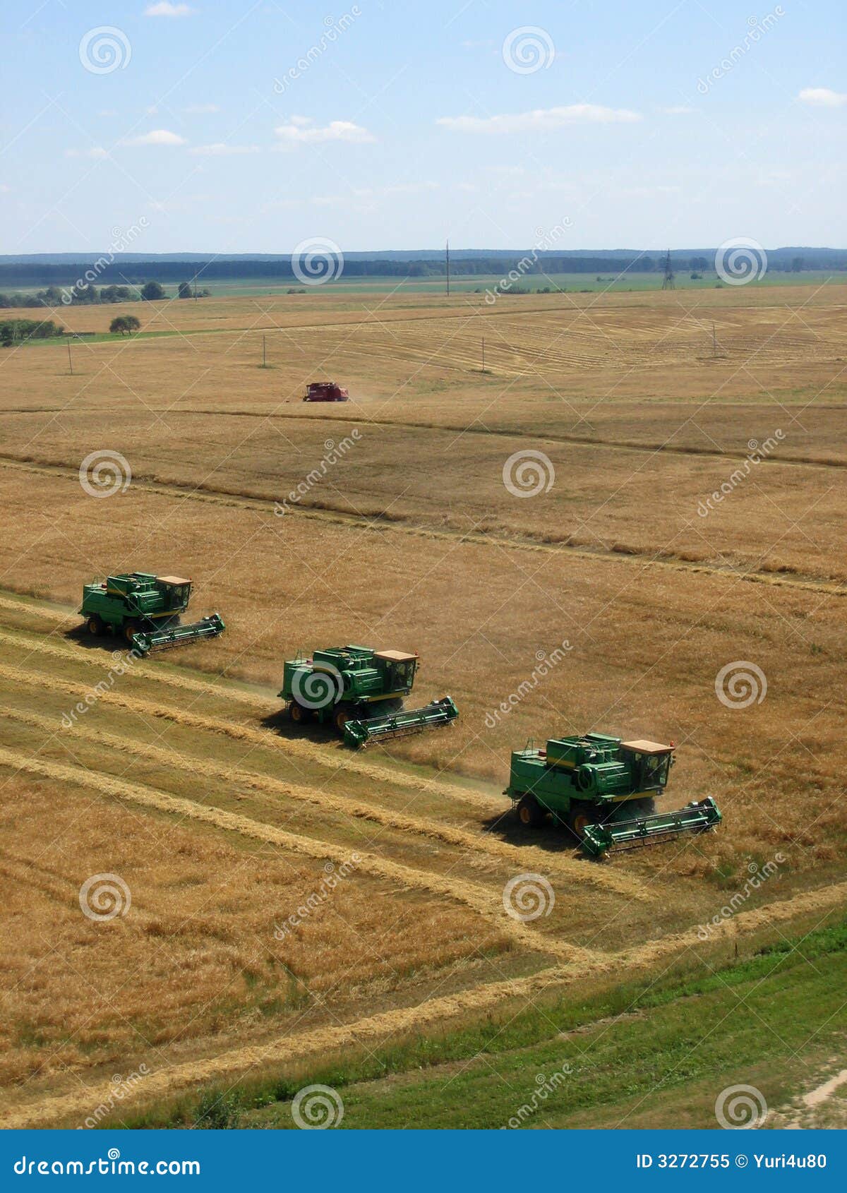 Combines at work stock image. Image of corn, harvesting - 3272755