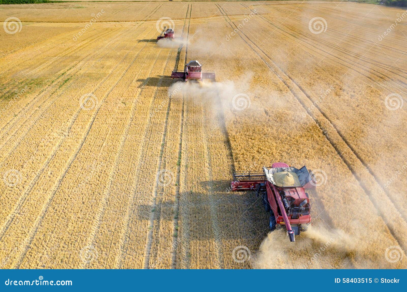 Combines Working On A Wheat Field Stock Image | CartoonDealer.com #20350405