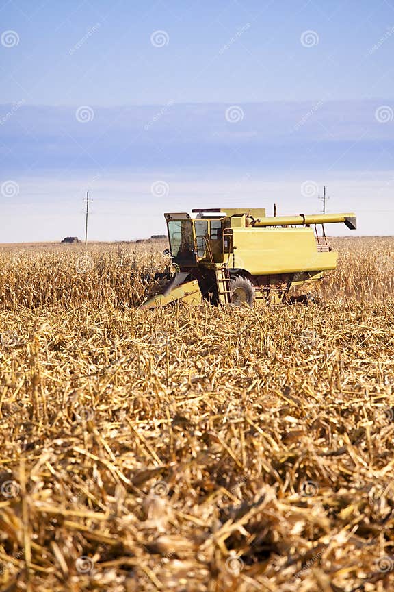 Combining corn stock image. Image of countryside, heavy - 13248267