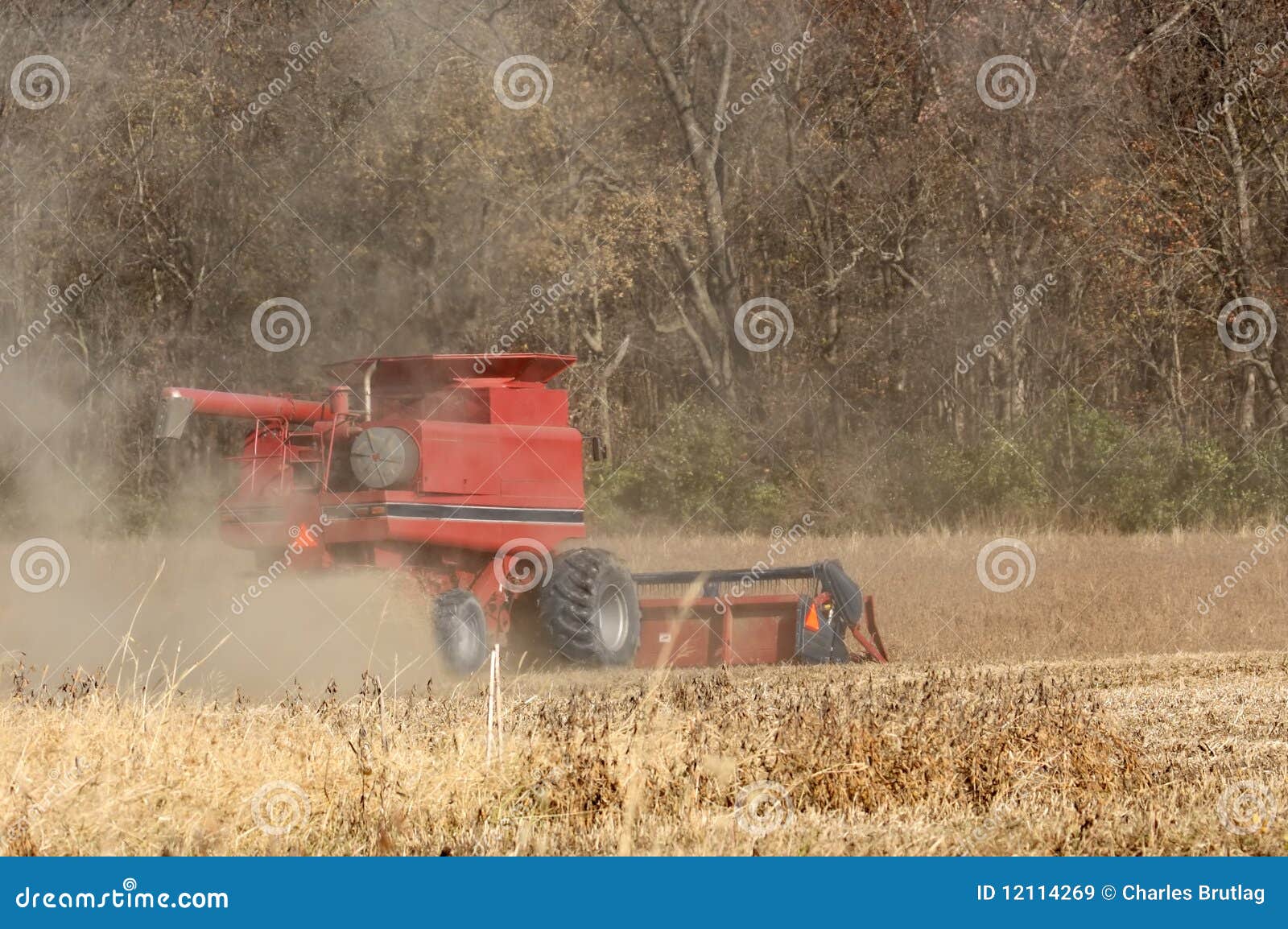 Combining Soybeans stock image. Image of agricultural - 12114269