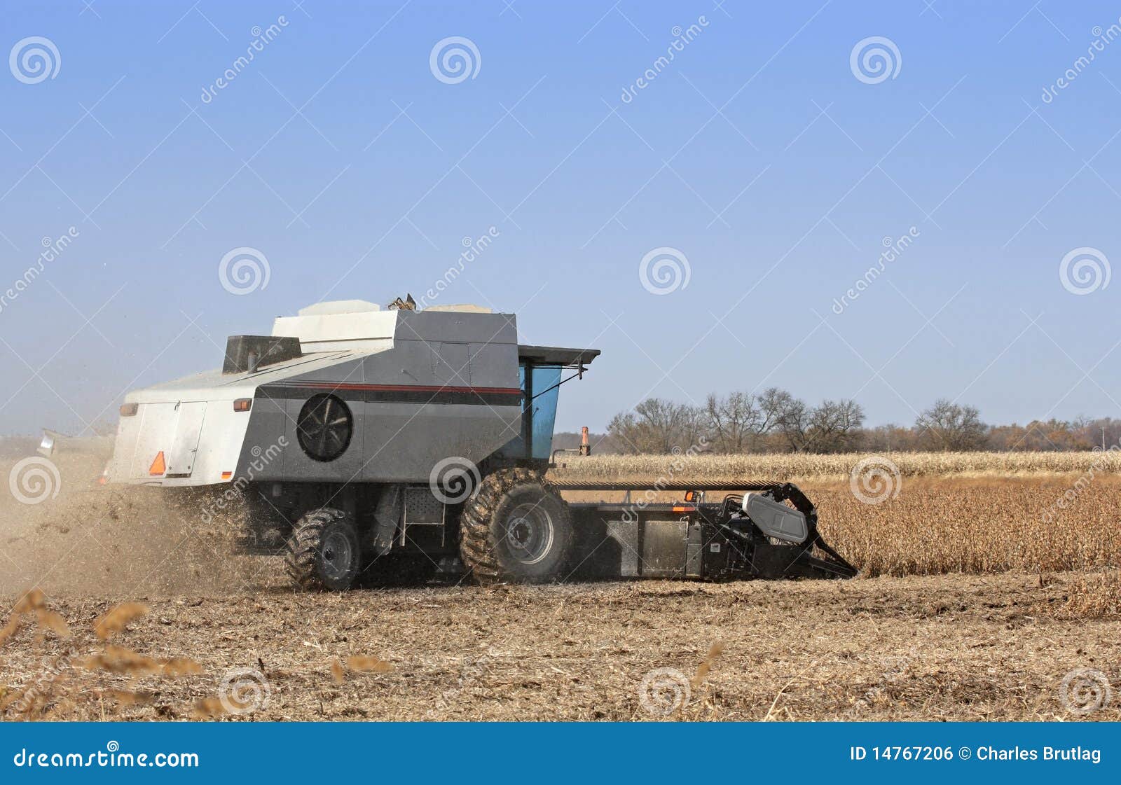 Combining Soybeans stock photo. Image of harvest, farm - 14767206