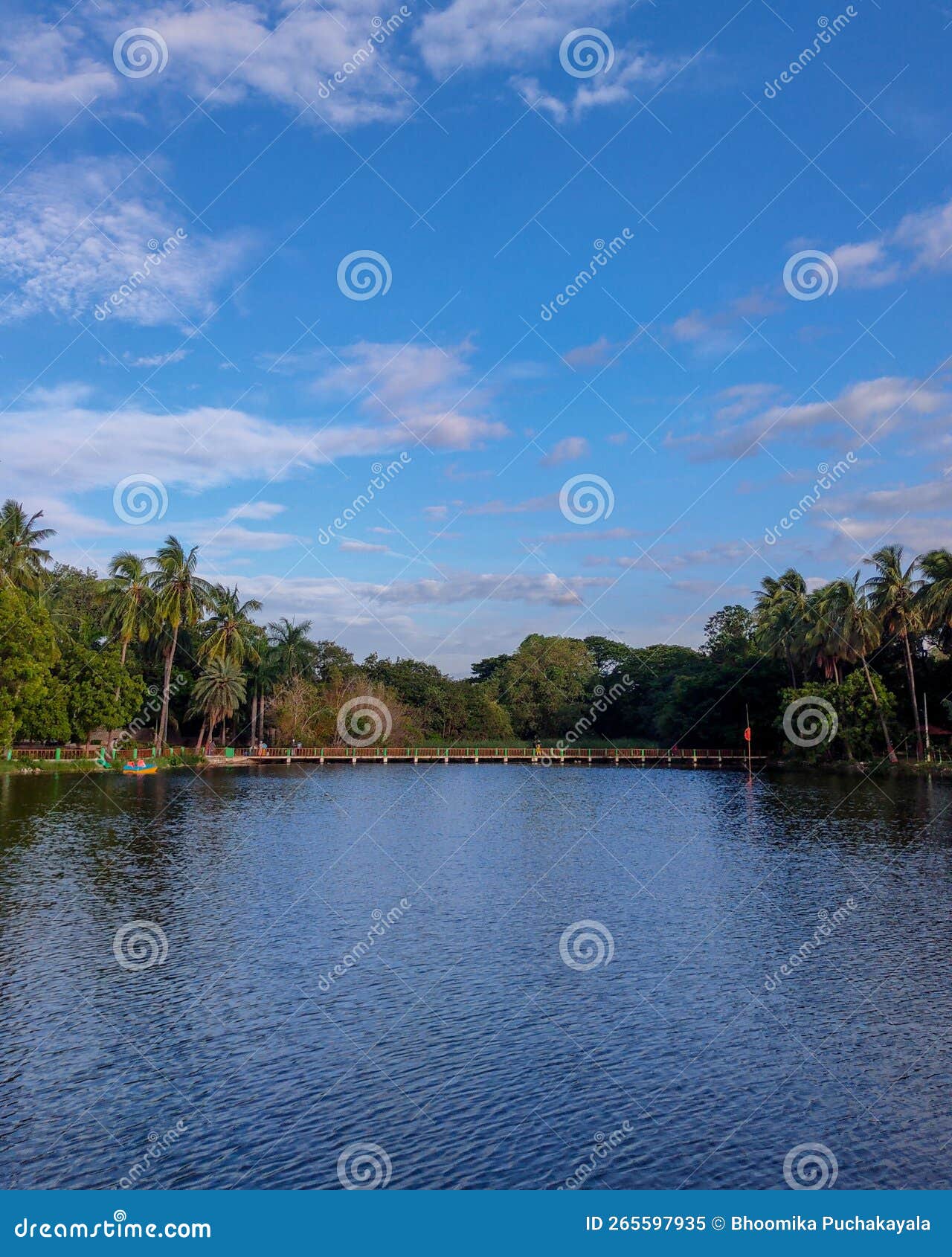 Combo of Sky Water Plants and Bridge is a Lovely Stock Image - Image of ...
